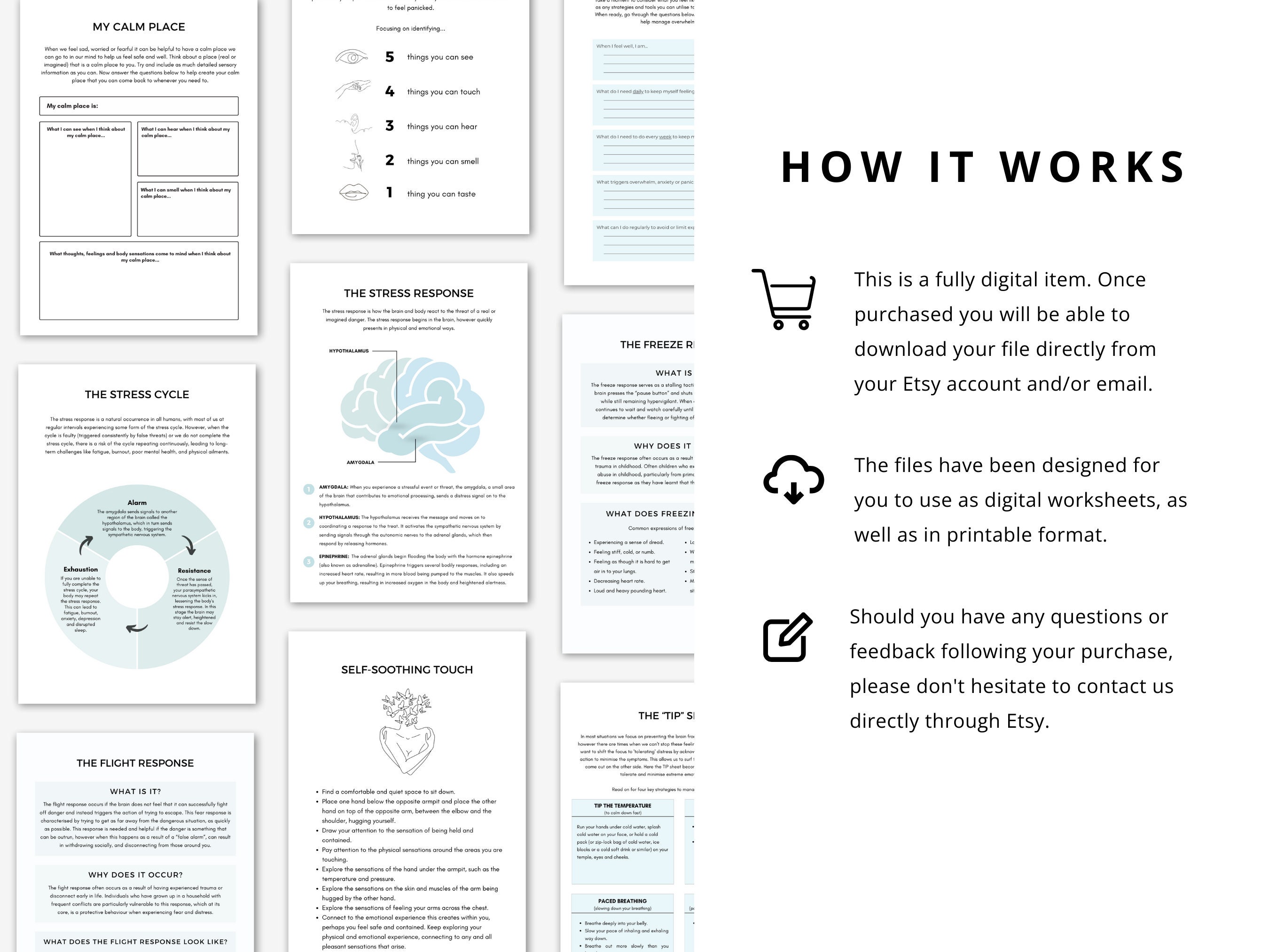 Stress Response Cycle Worksheets, Fight Flight Freeze Fawn Bundle for ...