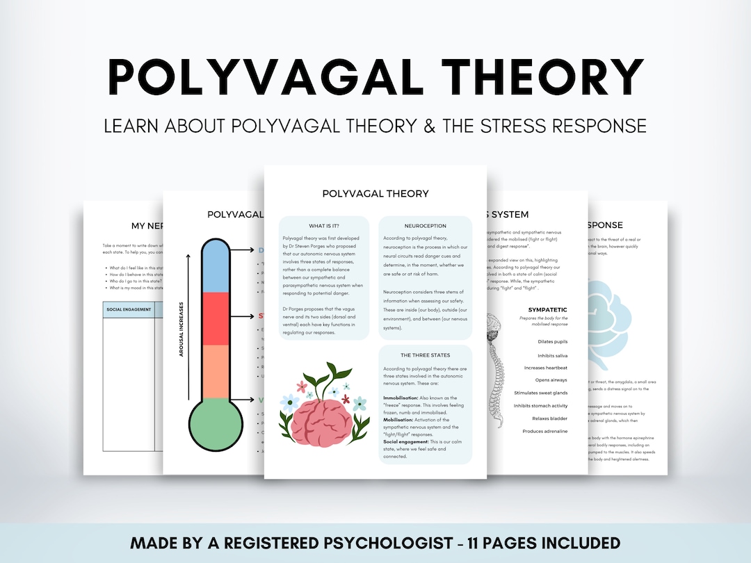 Polyvagal Theory Worksheets and Education Bundle, Coping Skills to ...