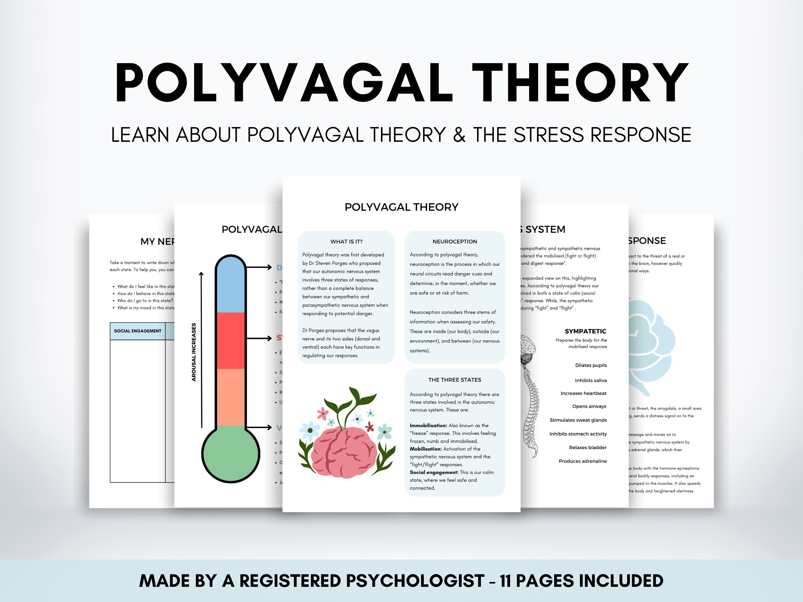 Polyvagal Theory Worksheets and Education Bundle, Coping Skills to ...
