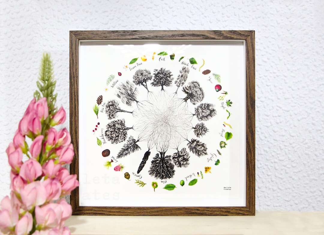 Circle of Trees Art Print - Oak, Willow, Hazel Tree, Ginkgo Biloba ...
