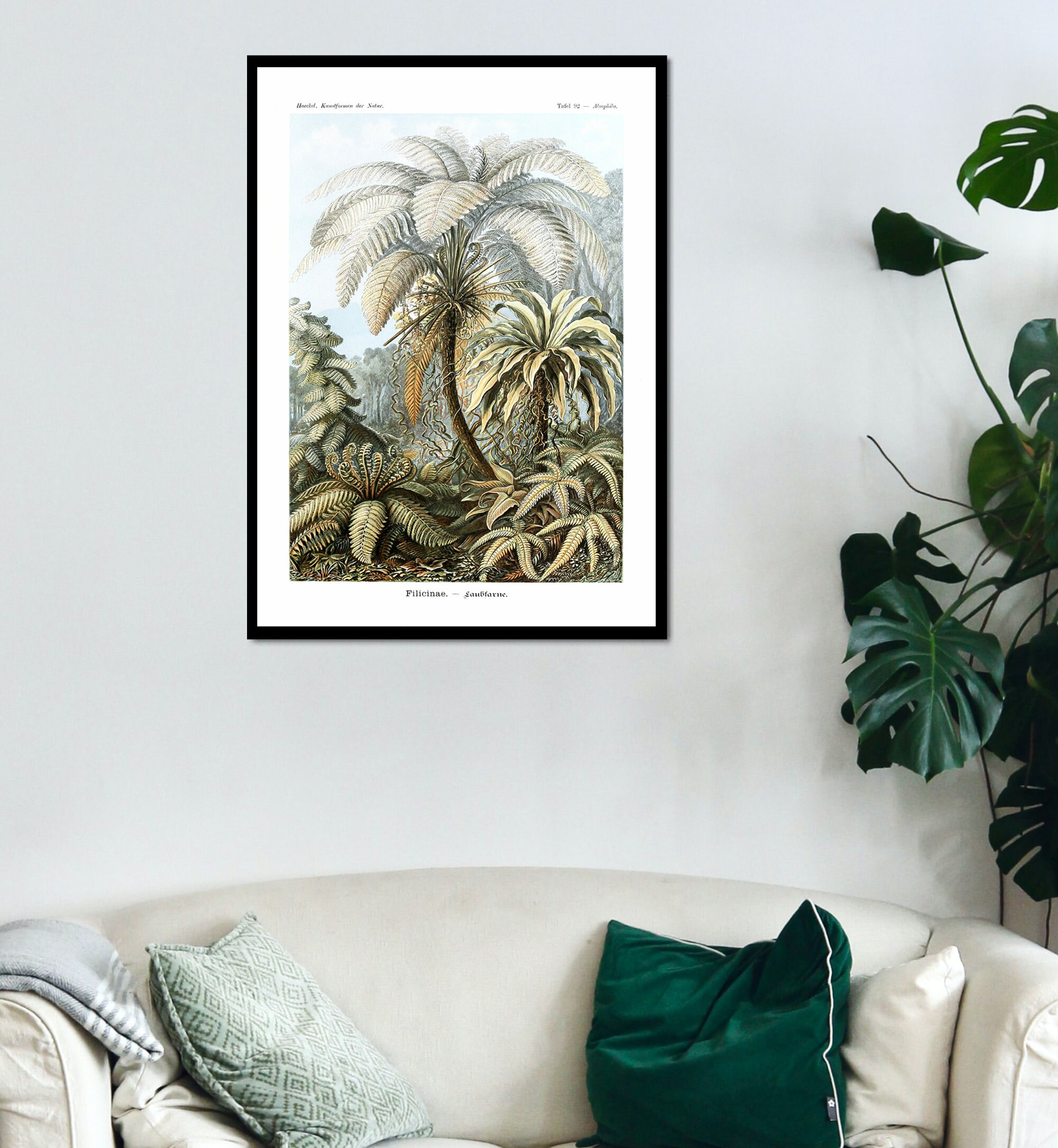 Printable Vintage Palm Tree Poster, Sage Green Biology Poster - Etsy