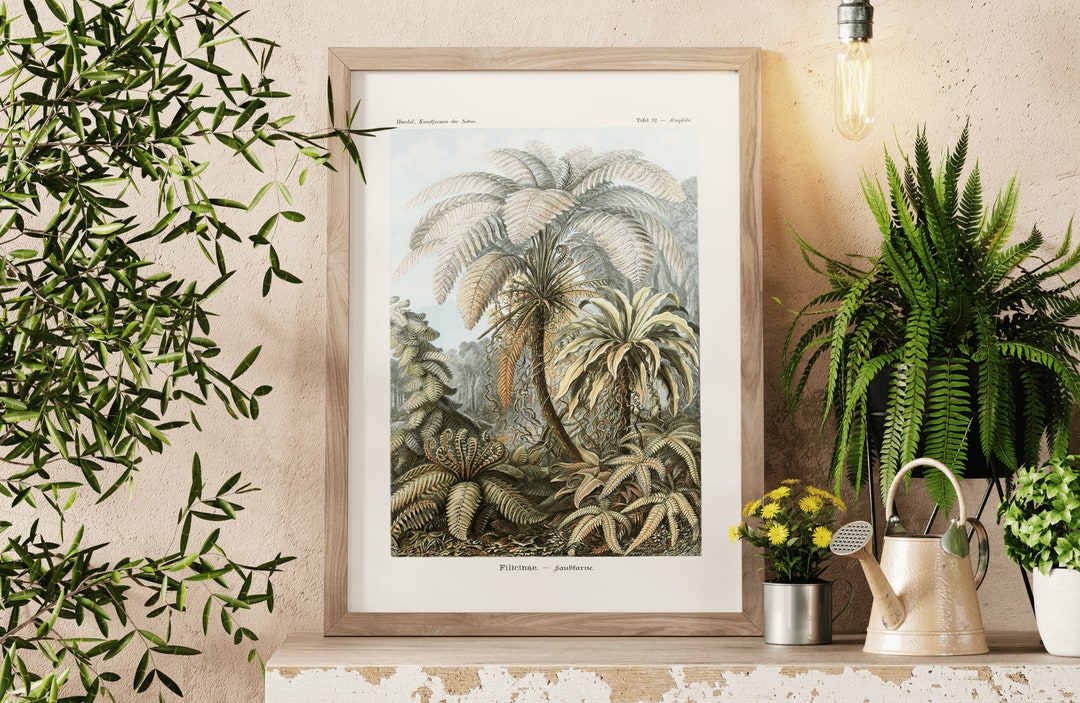 Printable Vintage Palm Tree Poster, Sage Green Biology Poster - Etsy