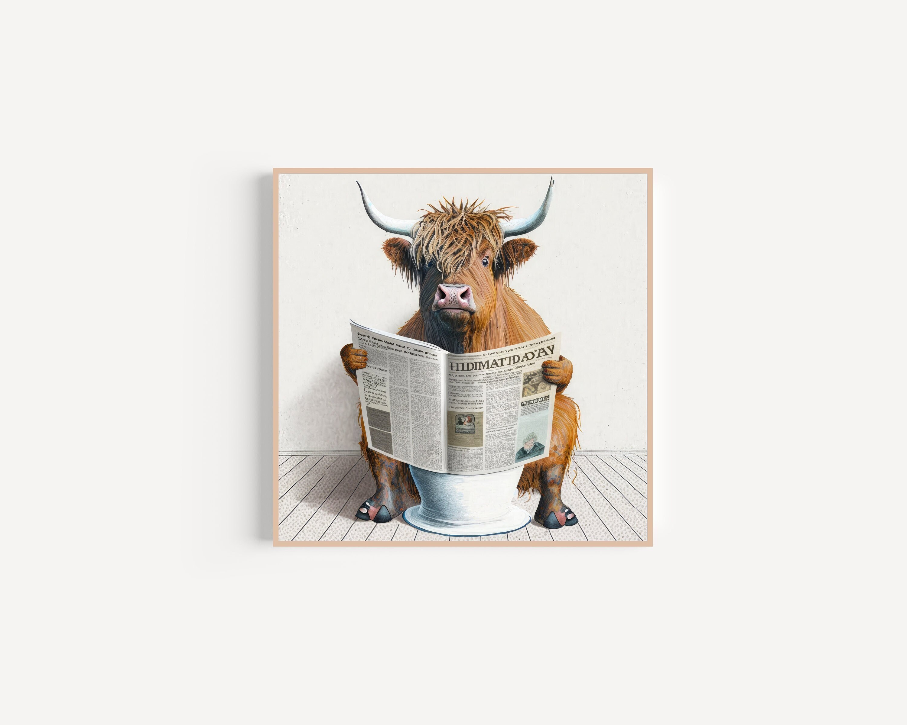 Scottish Highland Cow Reading Newspaper, Funny Scottish Highland Cow ...