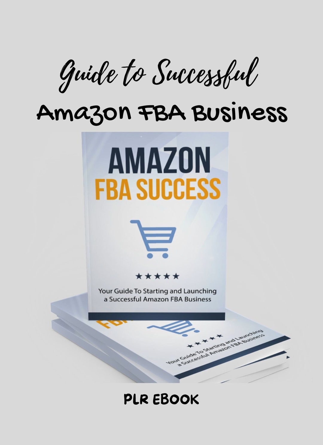 Quick Guide to Successful Amazon FBA Business - Passive Income - PLR ...