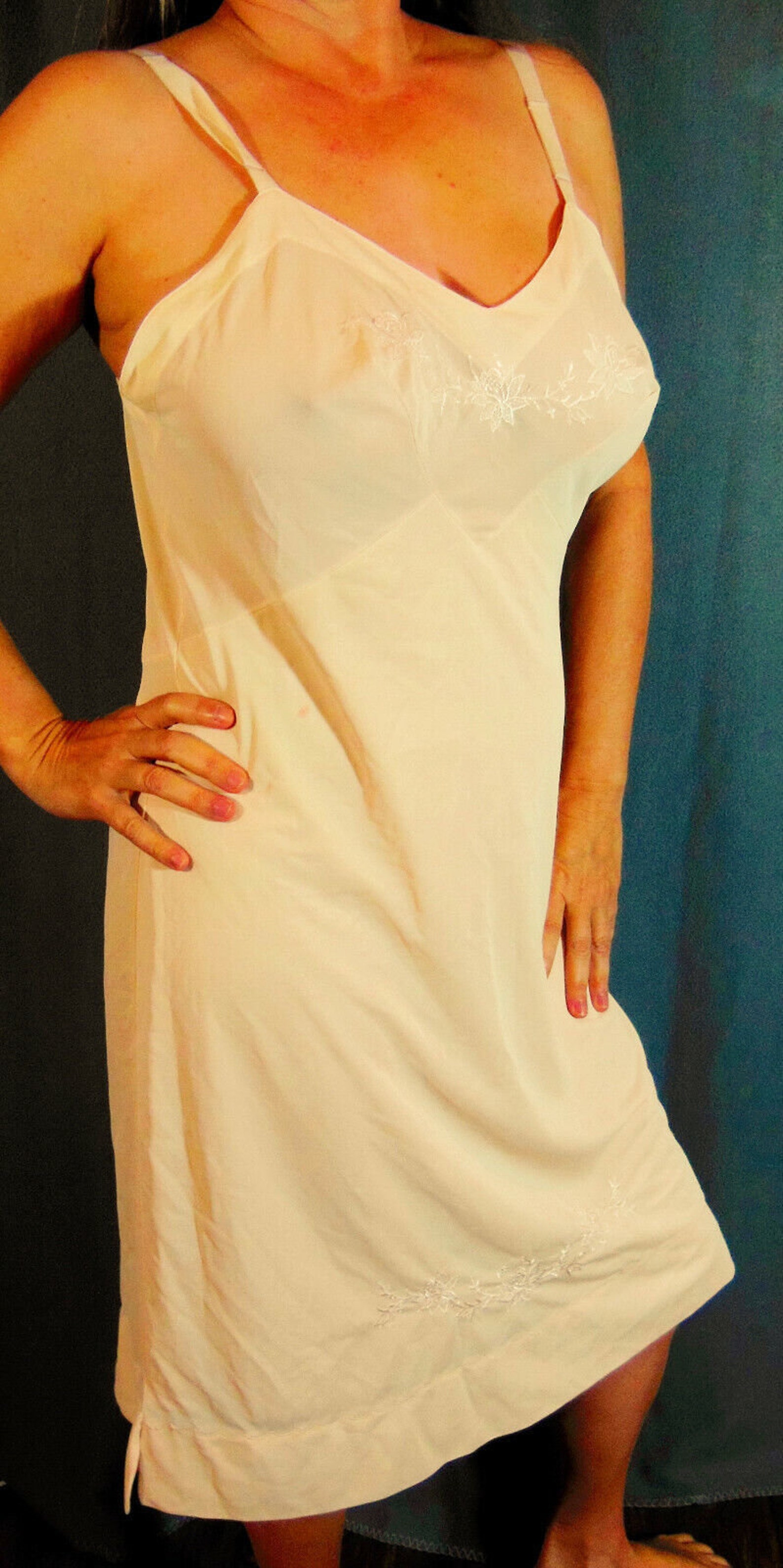 Elegant Sears Vintage Beige Slippery Nylon Embroidered Cups&hem Full ...