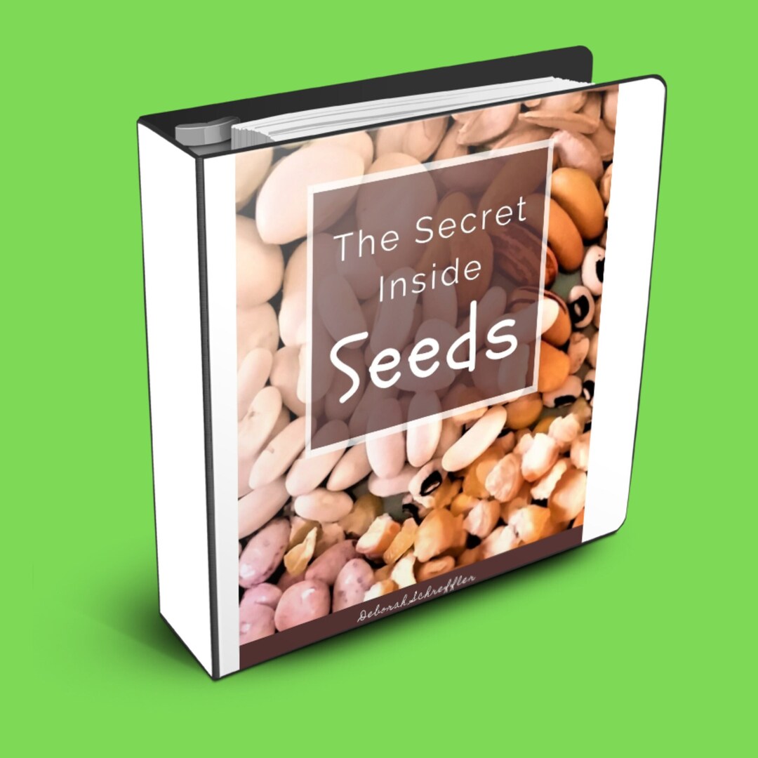 Botany for Children: Seeds - Etsy