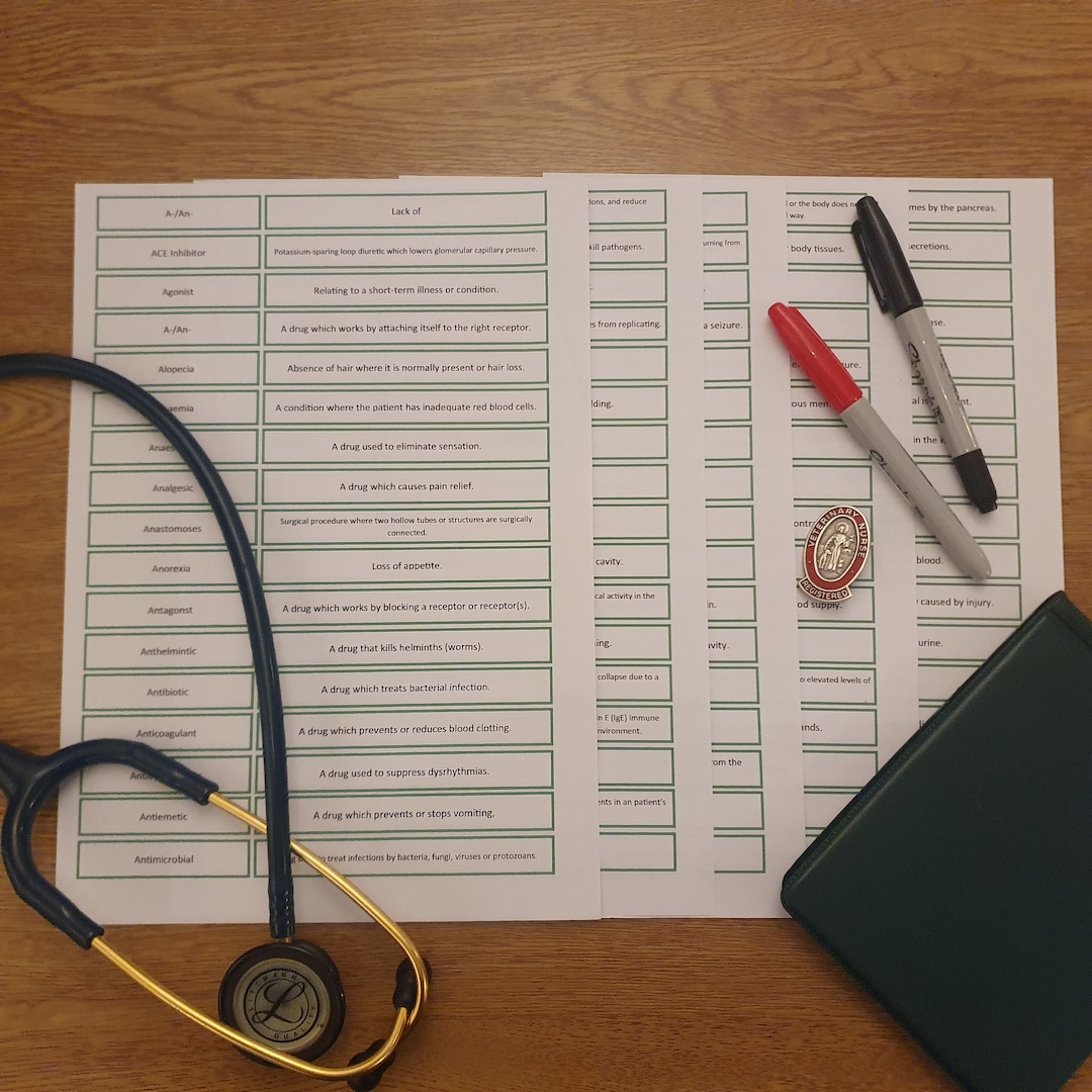 Veterinary Terminology - Over 250 Match Cards With Self-test Answer ...