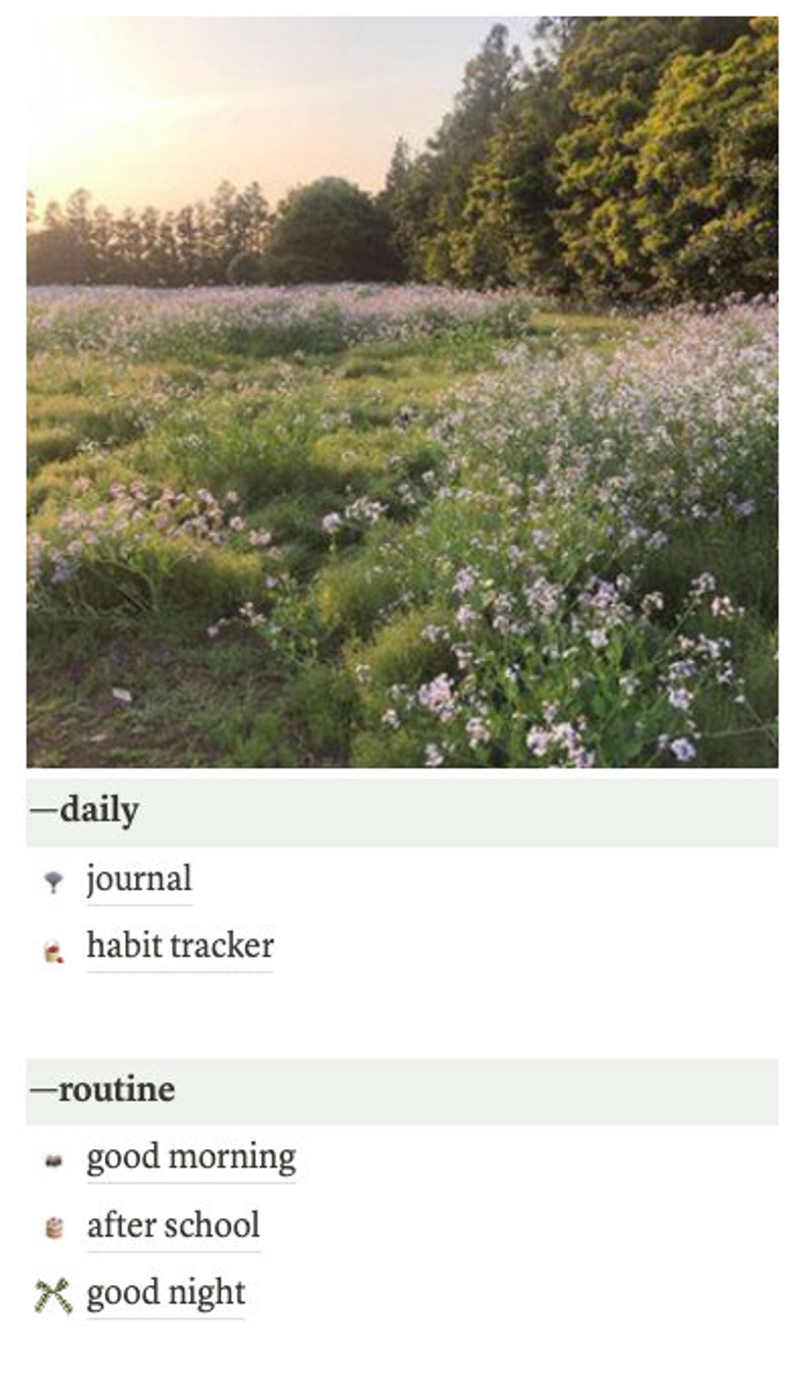 Notion Layout Cottagecore/fairycore Theme - Etsy