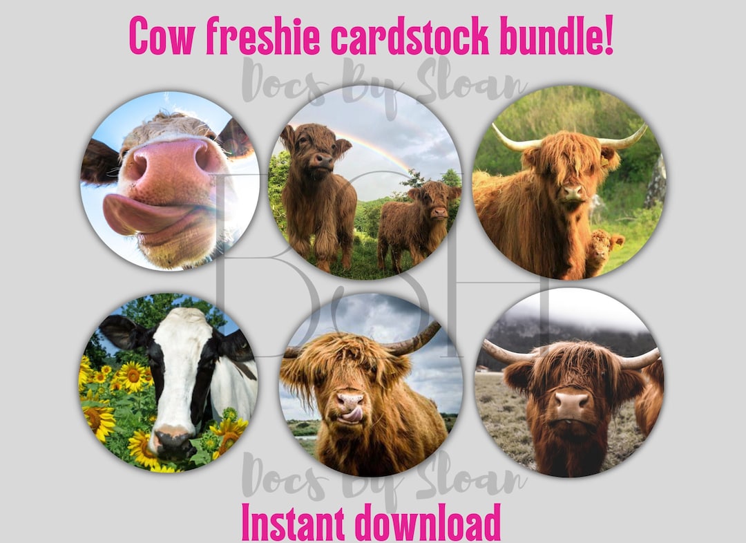 Cow Cardstock Downloads, Cow Cardstock Image for Freshies, Cow Digital ...