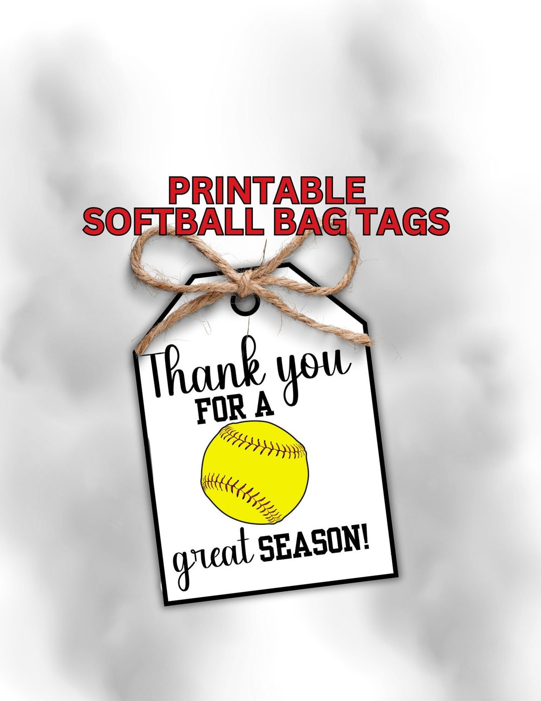 Softball Bag Tag, Softball Tag, Good Luck Tag, Softball Snack Tag ...