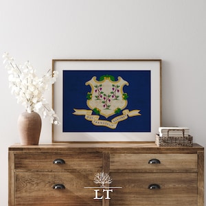 Vintage Connecticut State Flag Printable Wall Art, Connecticut State ...