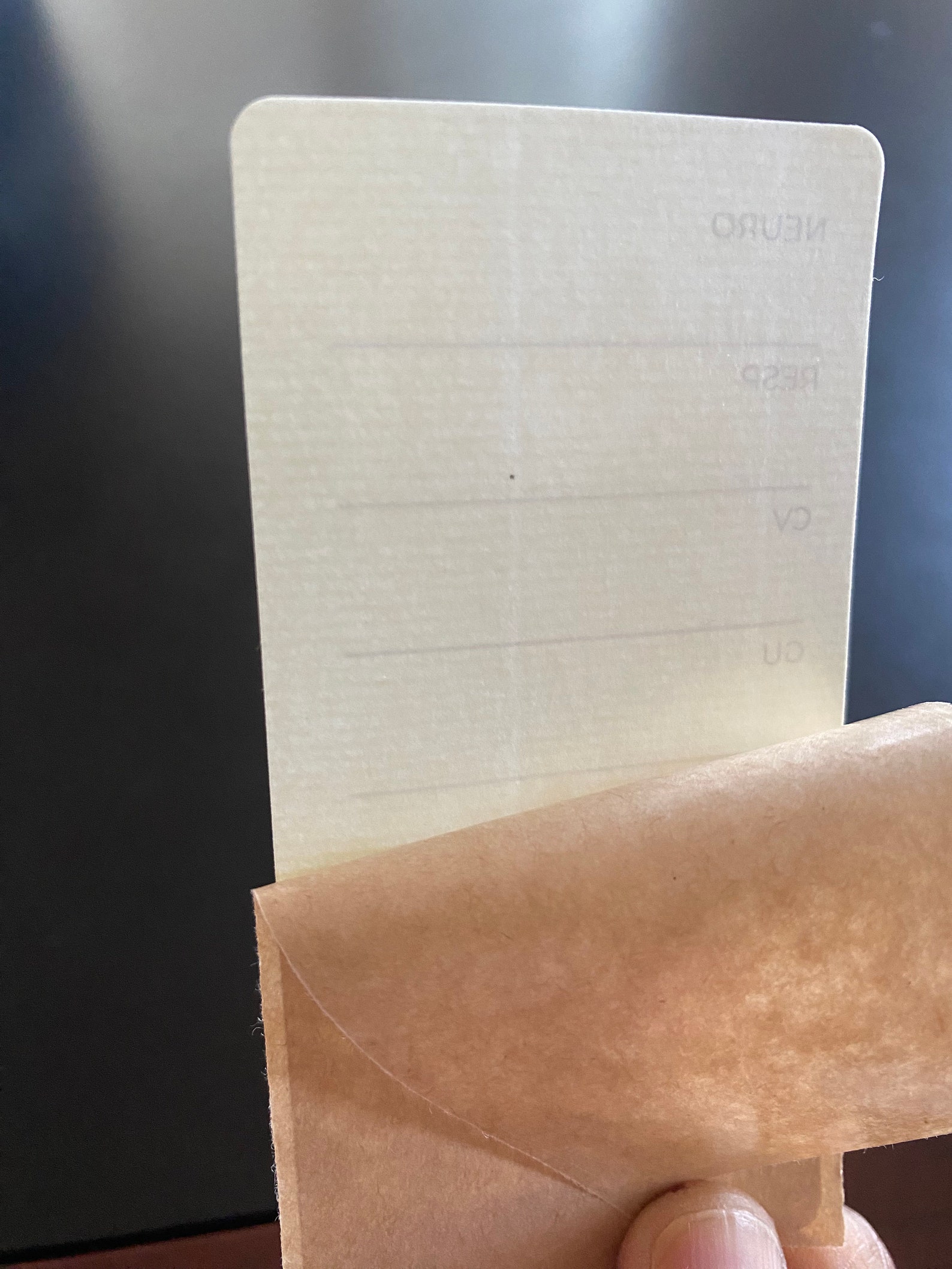 Assessment Sticker Head to Toe Report Sheet ER, Acute Care, Nurse ...