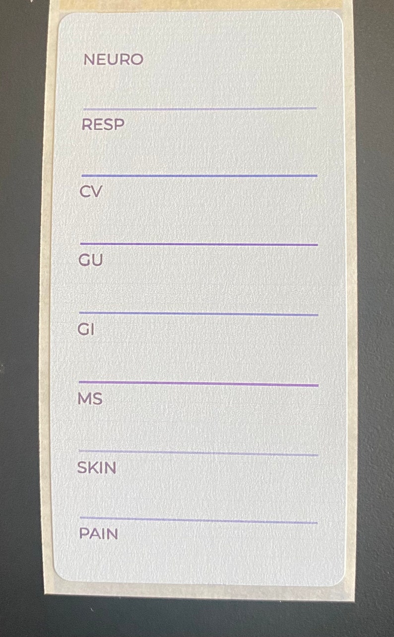 Assessment Sticker Head to Toe Report Sheet ER, Acute Care, Nurse ...