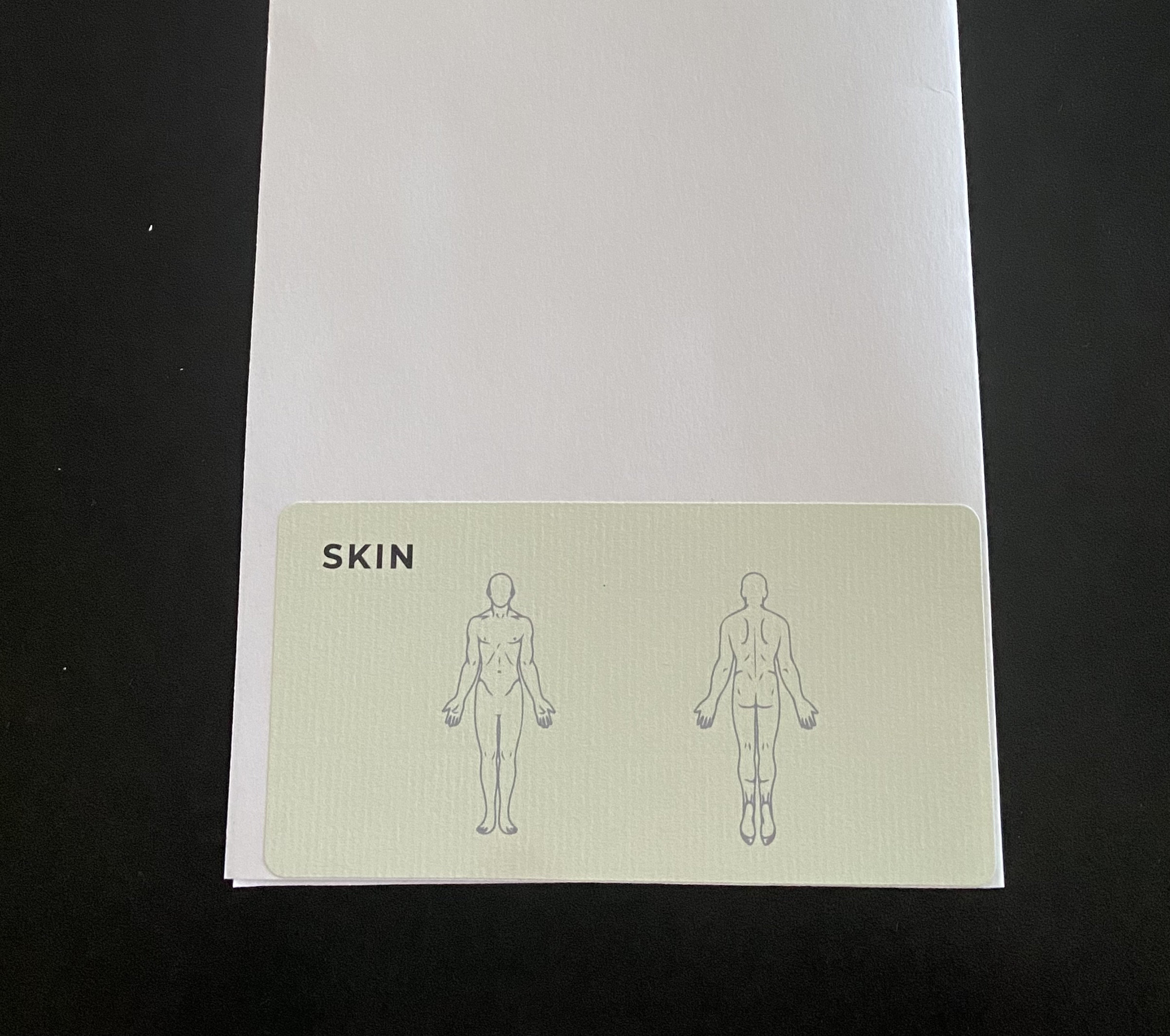 Skin Assessment Sticker for RN, PA,NP and Lpn's. Clinic and Hospital ...