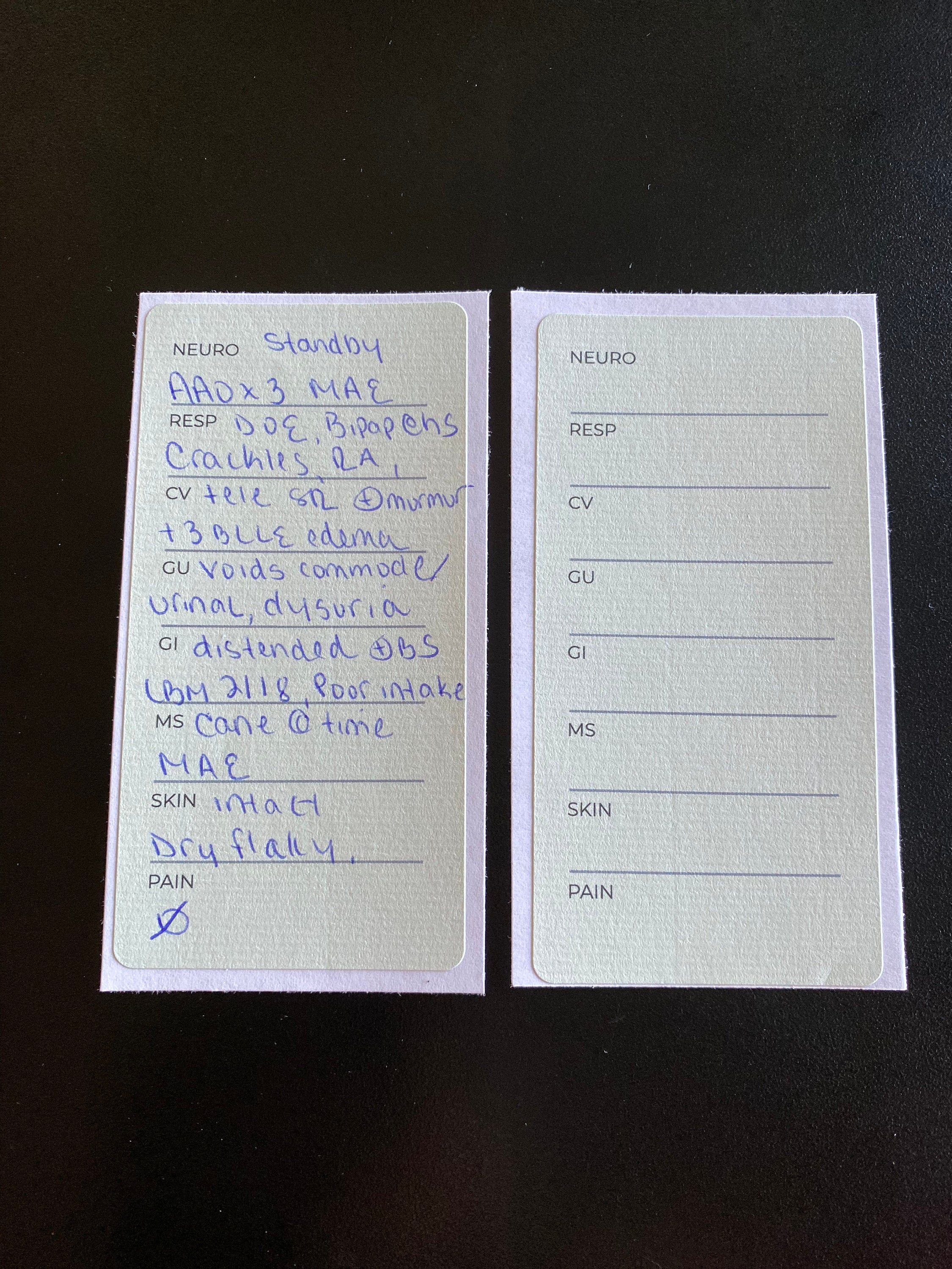 Nurse Assessment Stickers, Head-to-toe Report Sheet, Acute Care (40 ...