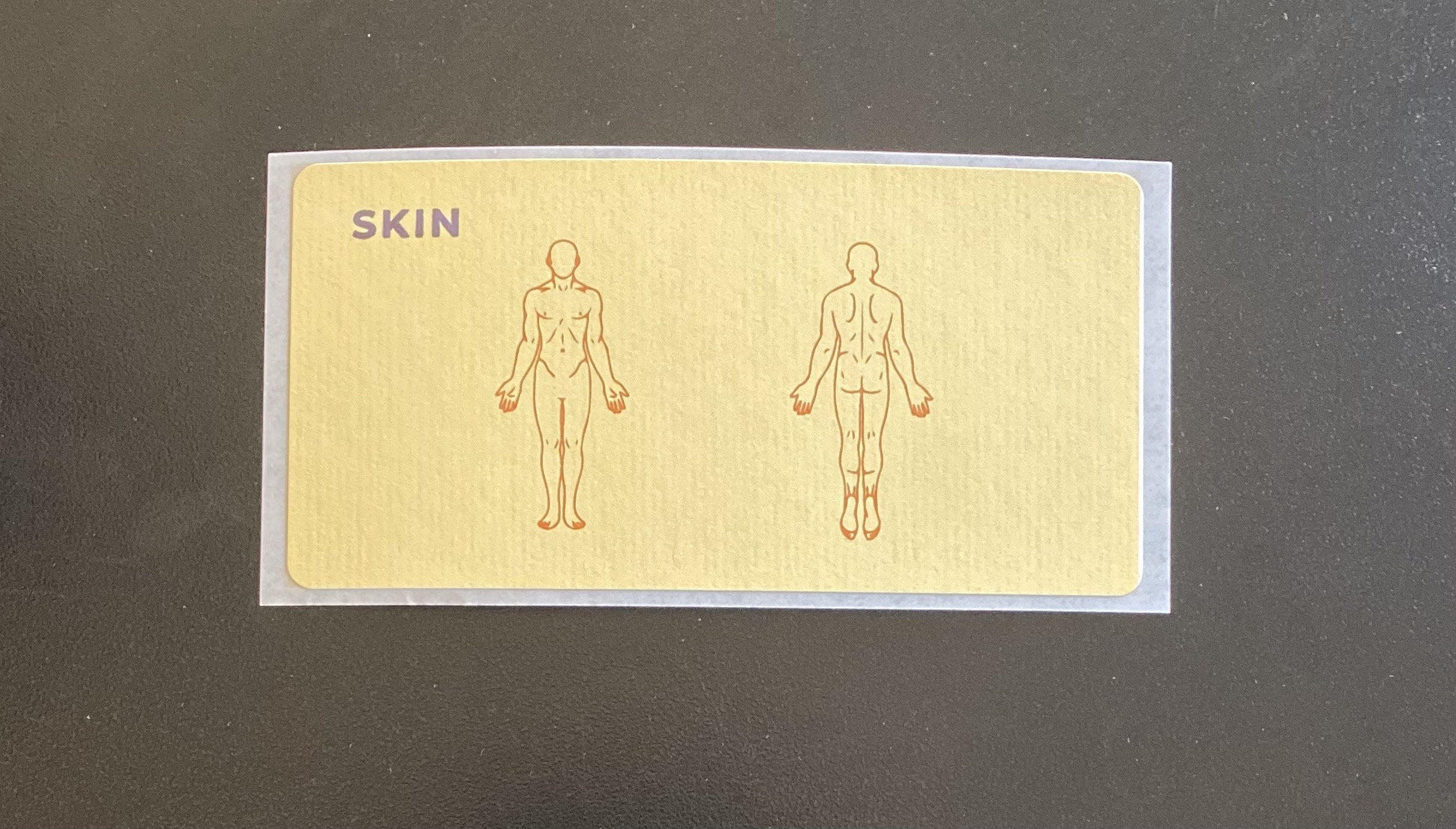 Skin Assessment Sticker for RN PANP and Lpn's. Clinic - Etsy