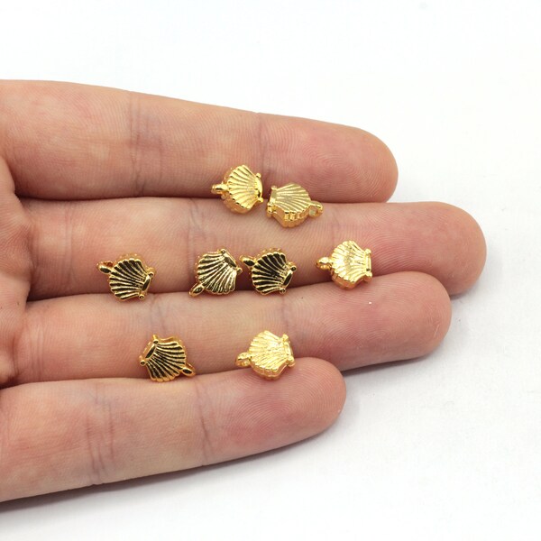 Mini Sea Shells - Etsy