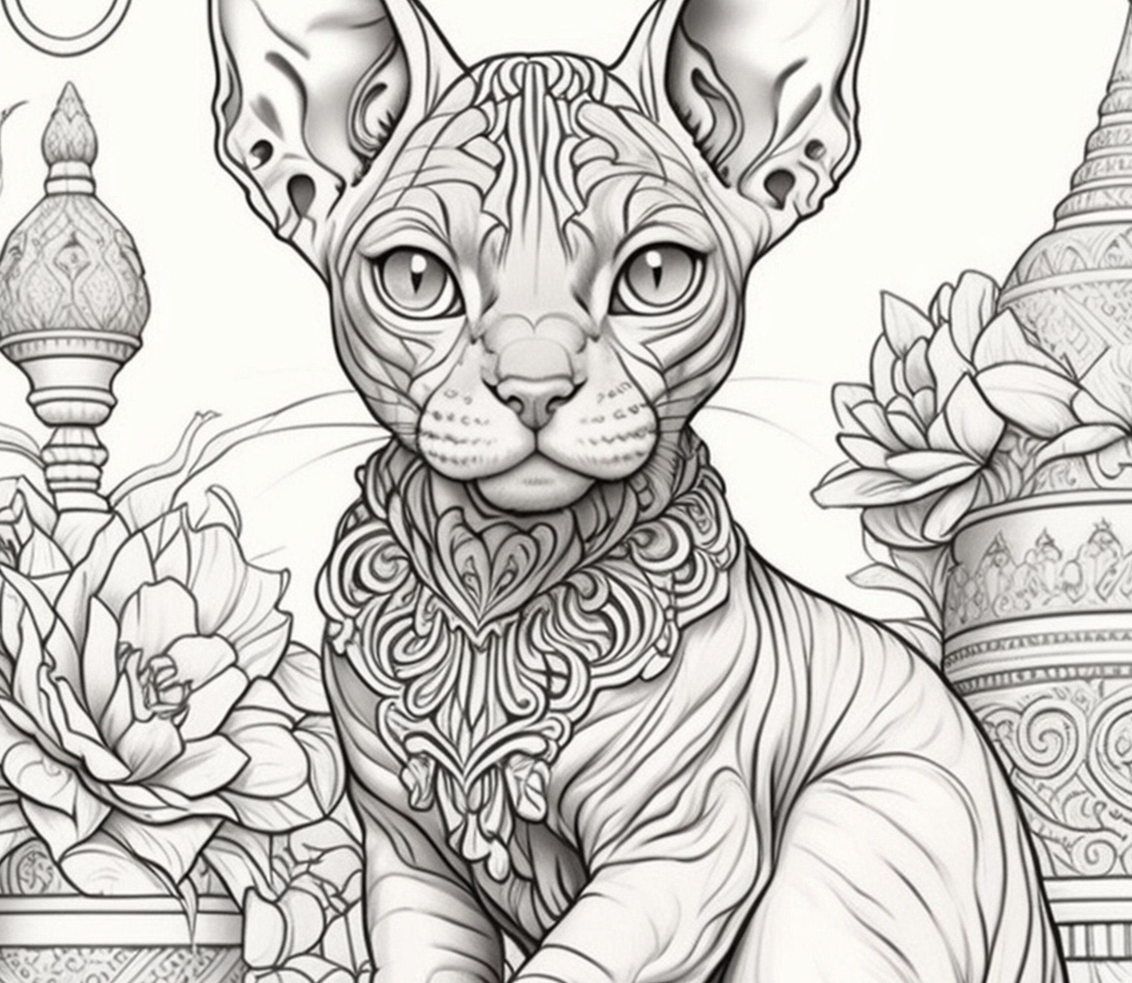 6 Coloring Pages of Sphynx Cat Mandela Style Printable Coloring Pages ...