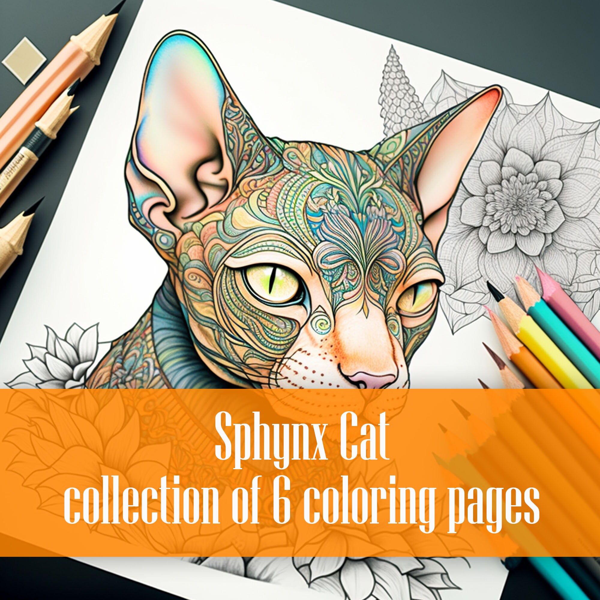 6 Coloring Pages of Sphynx Cat Mandela Style Printable Coloring Pages ...