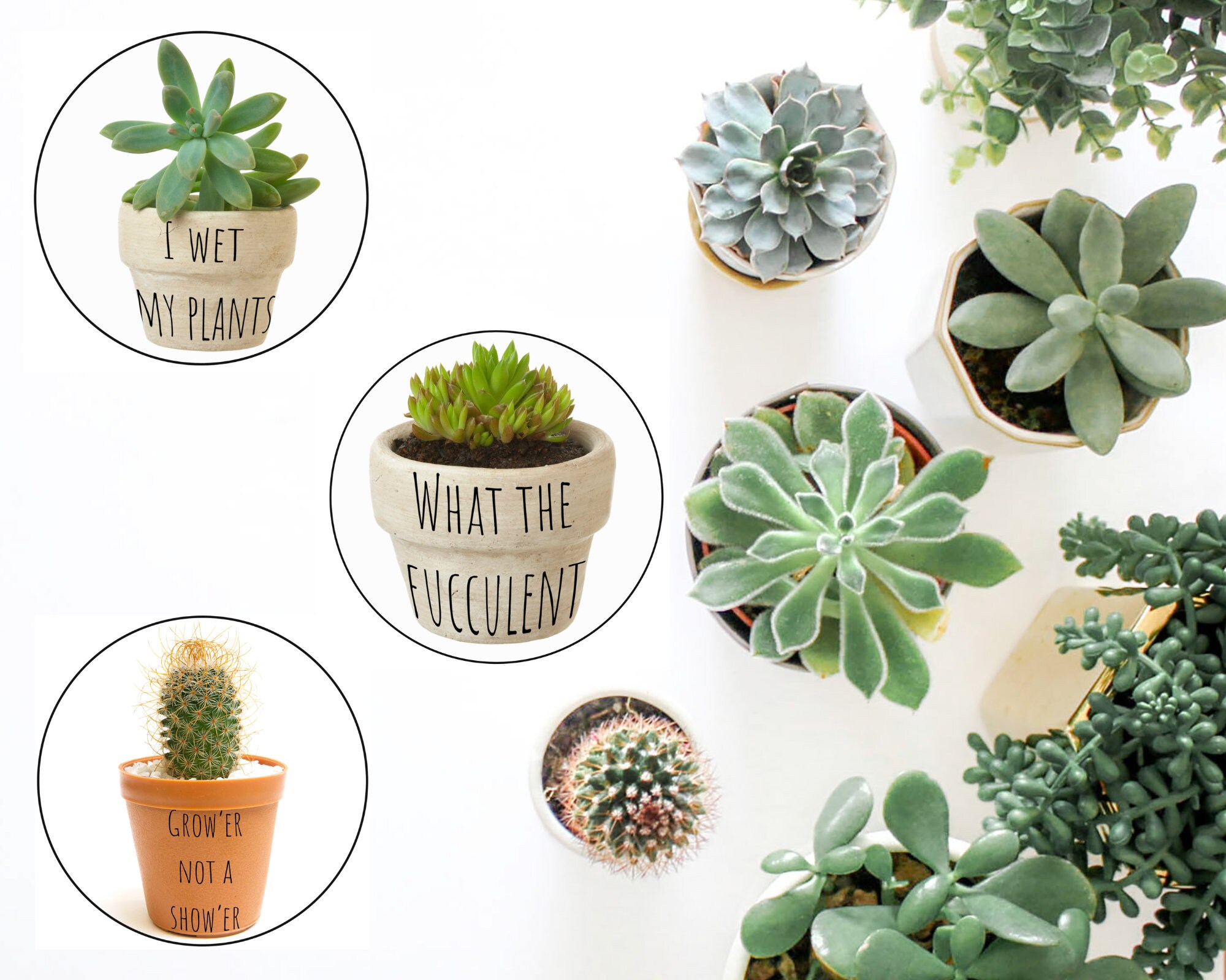 Plant Svg Bundle Plant Lover Svg Plants Svg Svg Digital Download Funny Plant Stakes Svg