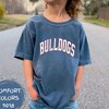 Custom Football Mascot Shirt, Comfort Colors Distressed Team Spirit Tee ...