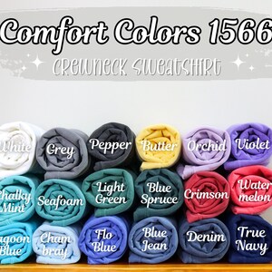 Custom School Mascot Shirt, Comfort Colors Distressed Team Spirit Tee ...