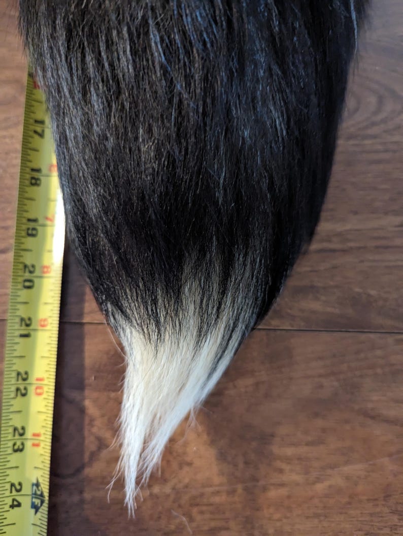 Furry Costume Cosplay Ranch Raised Fox Tail With Key Ring Attachment ...