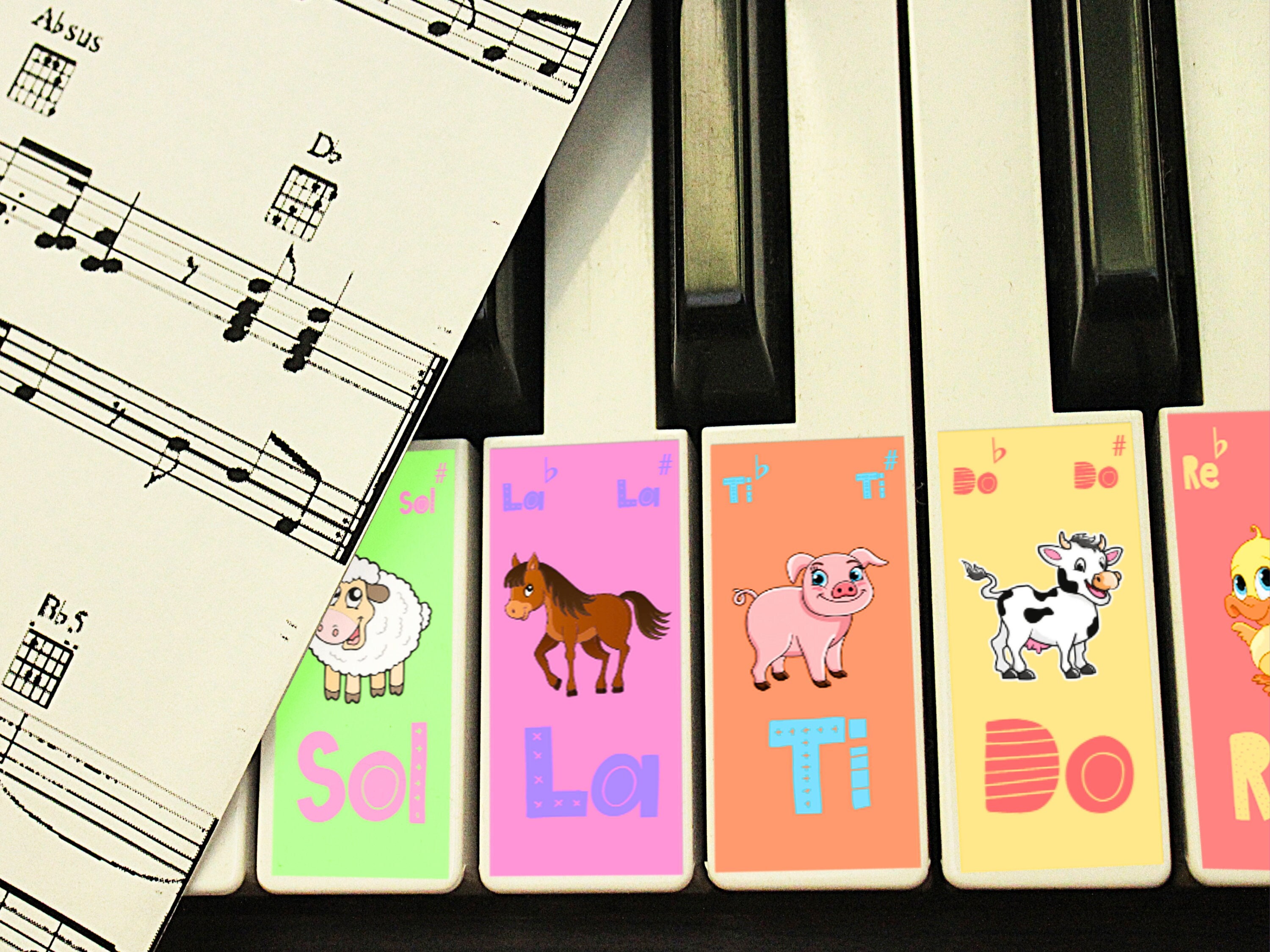 Animal Piano Stickers for Learning Piano, Piano Stickers for Beginners ...