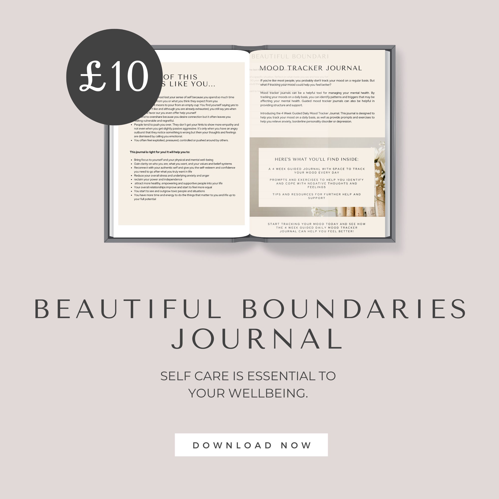 Boundaries Journal, Mental Health Diary, Wellness Journal, Health ...