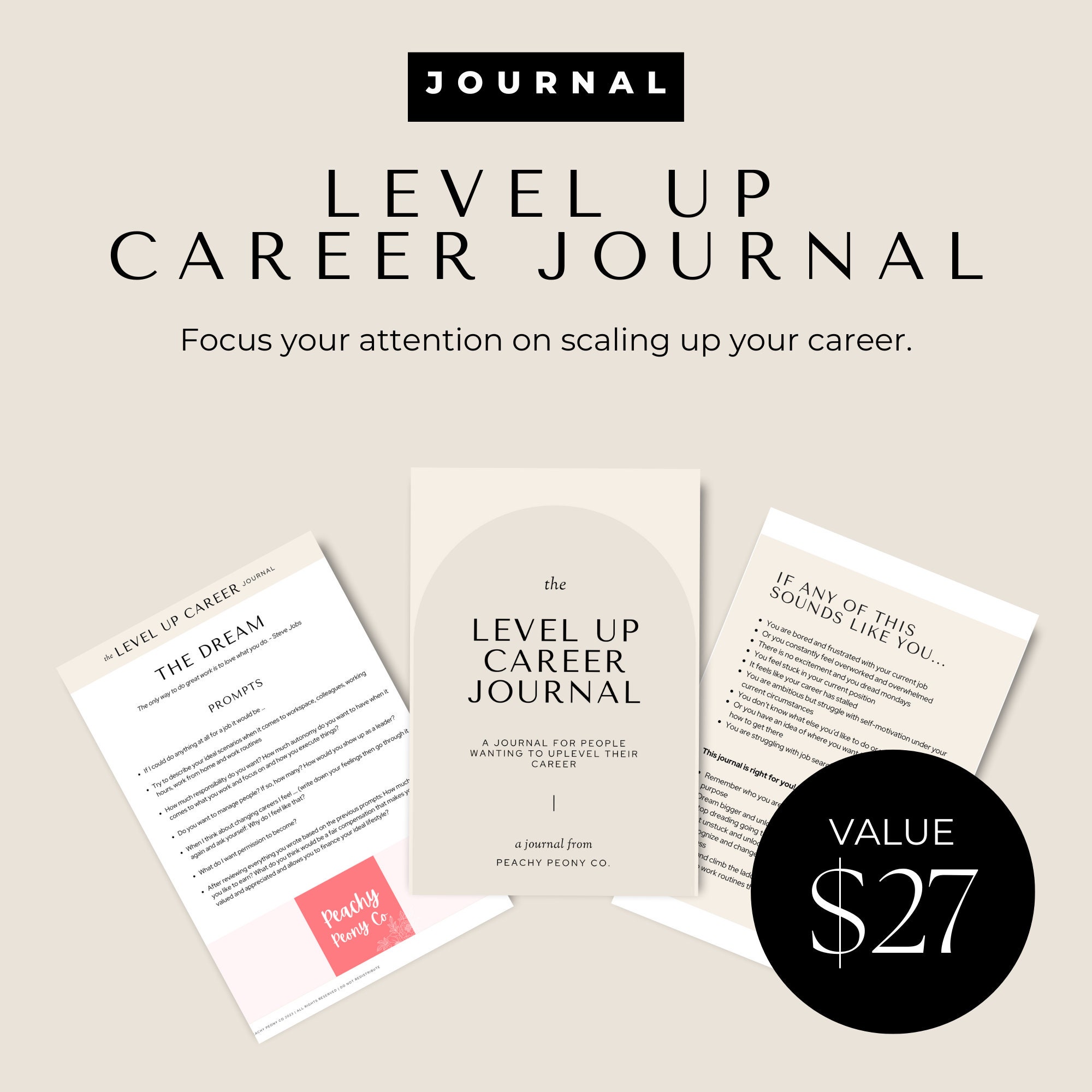 Career Improvement Journal, Business Journal, Coach Journal, Level up ...