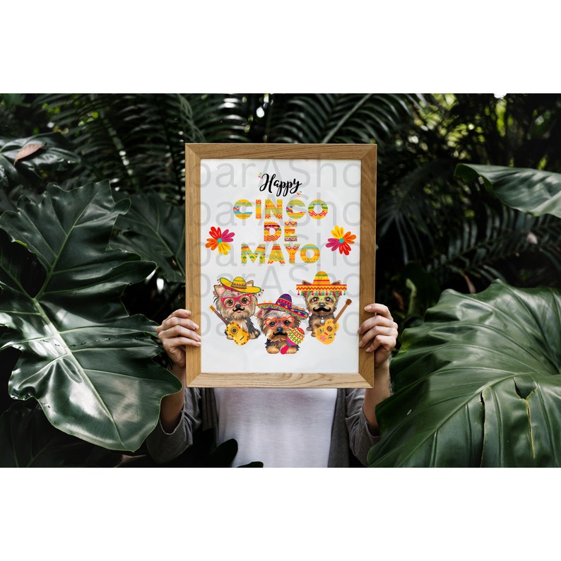 Cinco De Mayo Png Fiesta Png Yorkie Png Digital Download Yorkshire ...