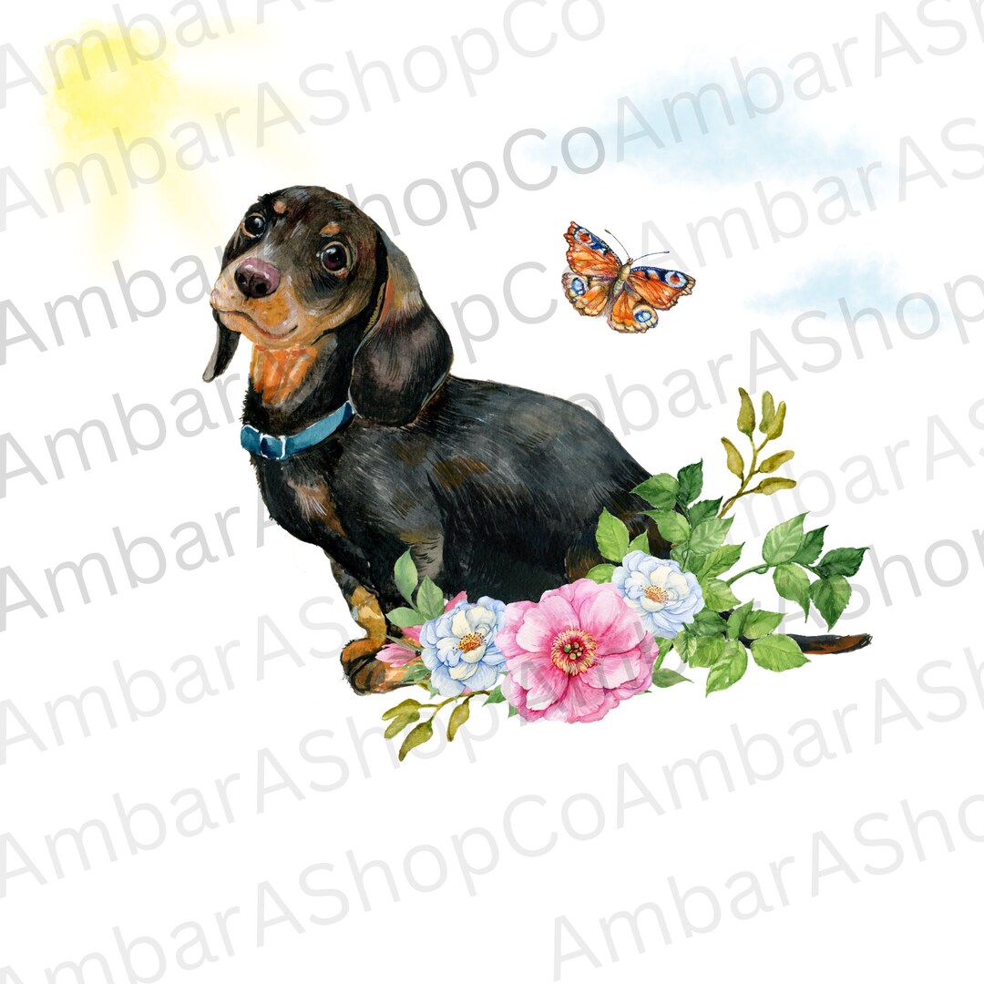 Watercolor Dachshund Dog PNG Weiner Dogs Png Dachshund Tshirt Design ...