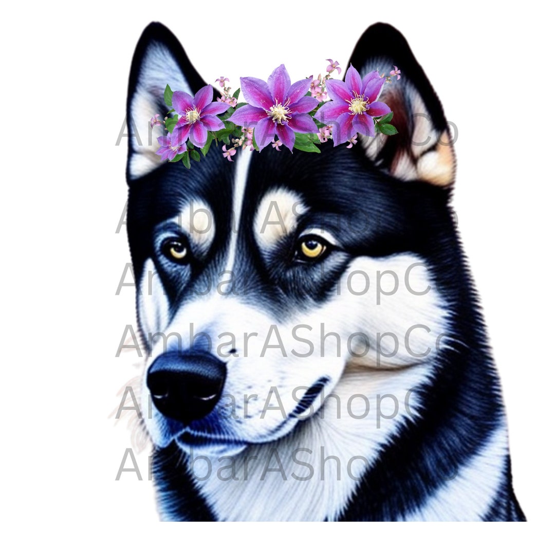 Husky PNG Siberian Husky SVG Floral PNG Huskies Png Digital Download ...