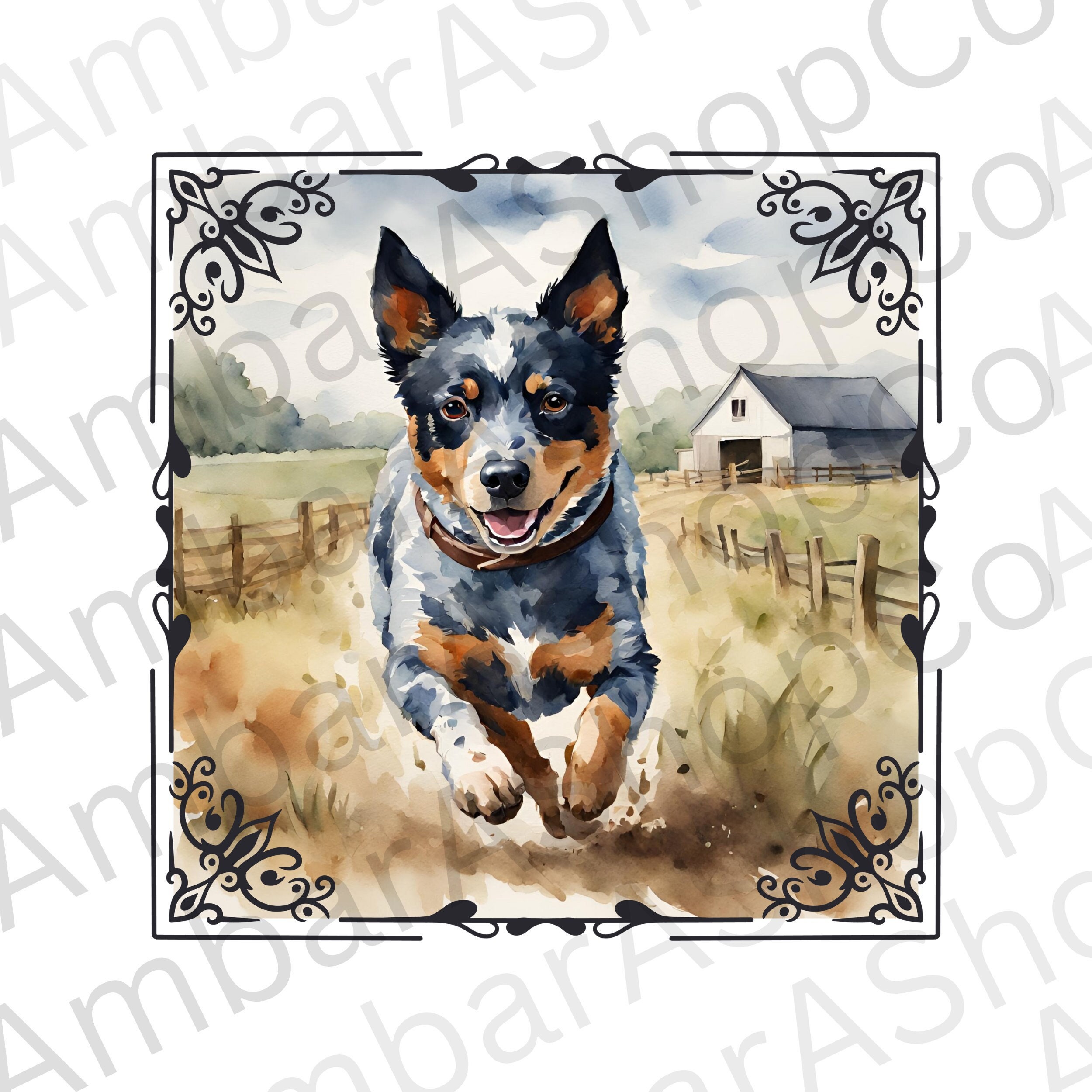 Blue Heeler Png Australian Cattle Dog Png Blue Heeler Gifts Heeler Mom ...