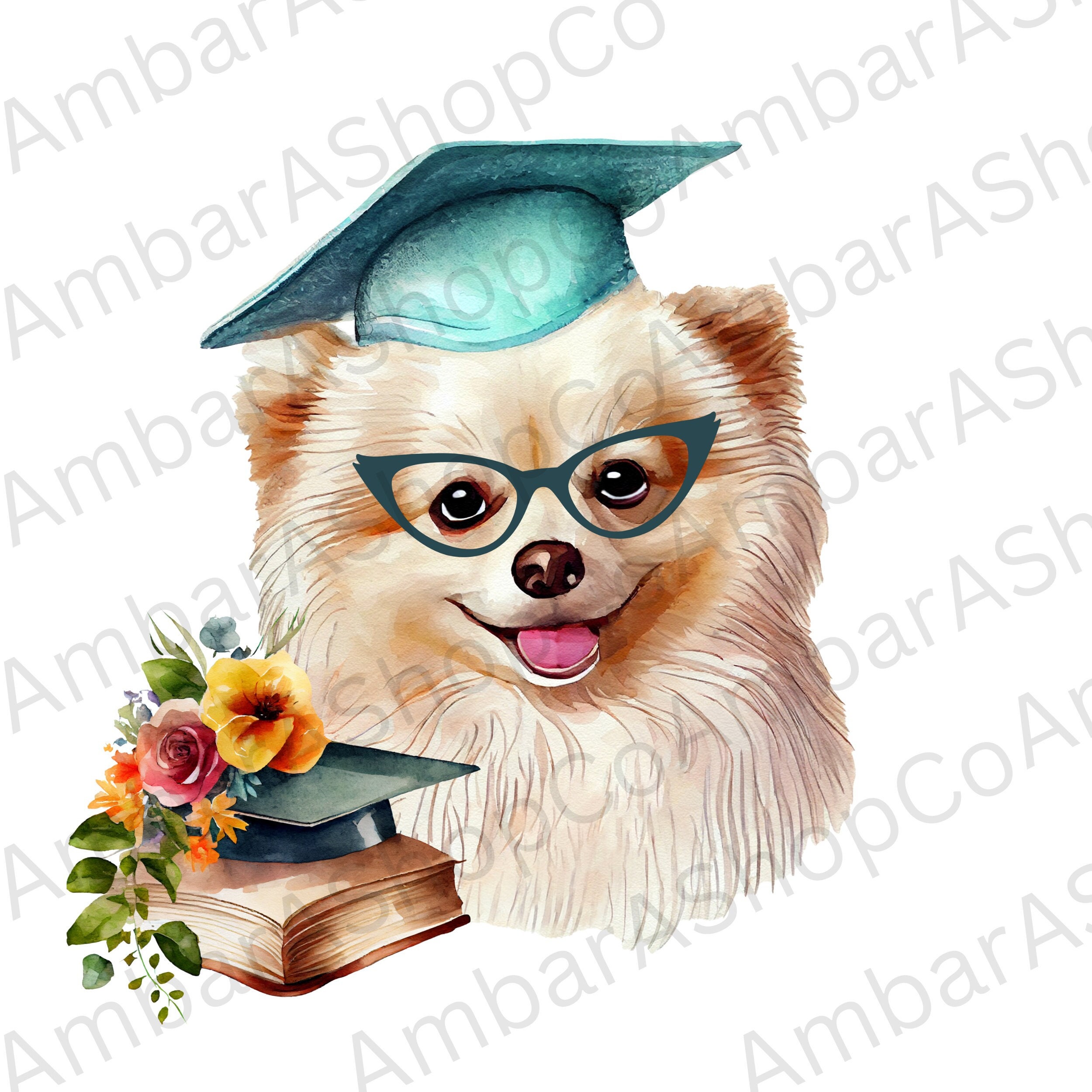 Graduation Pomeranian Png Pomeranian Dog Png Pomeranian Owner Digital ...