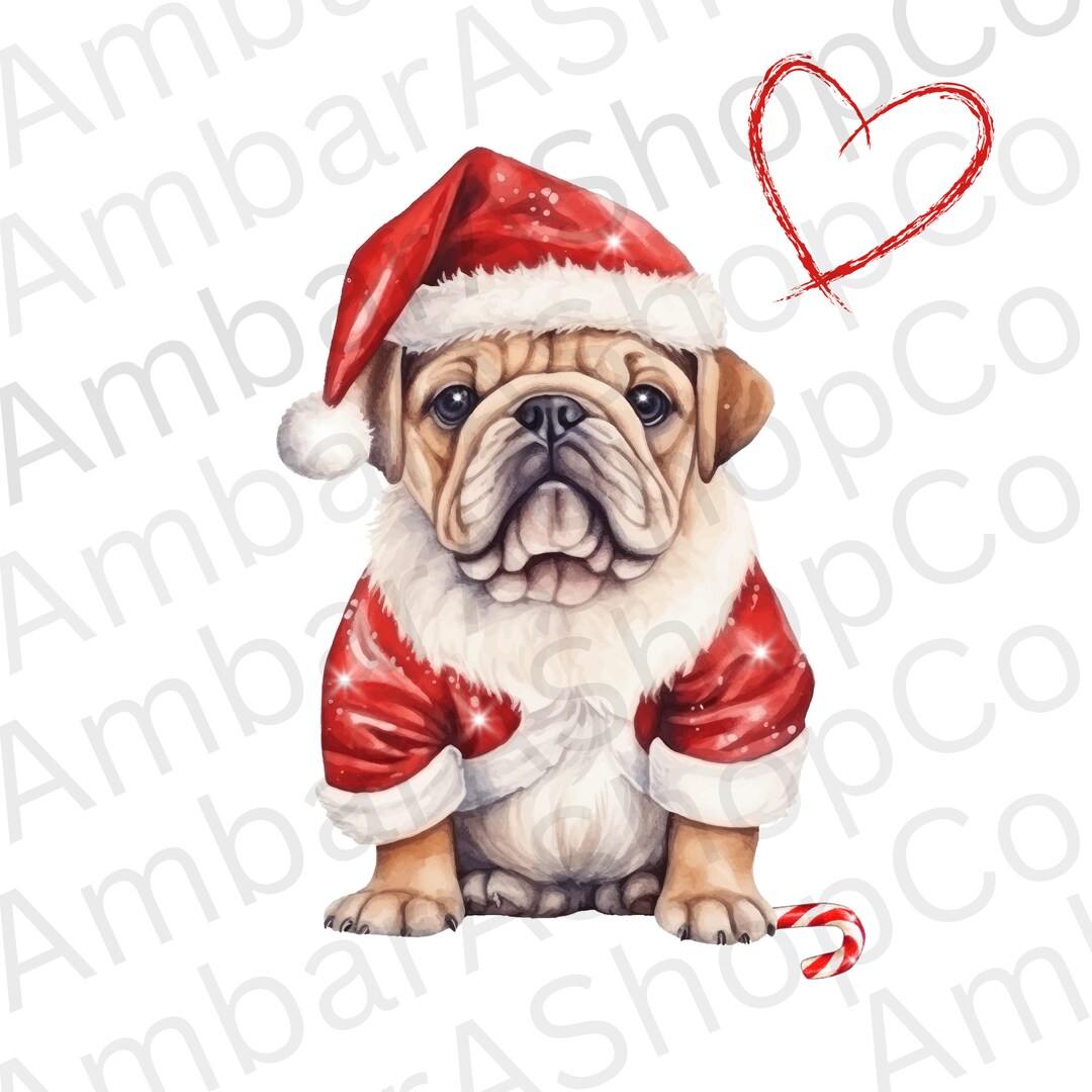 Bulldog Santa Hat English Bulldog Png Bulldog Sublimation Design ...