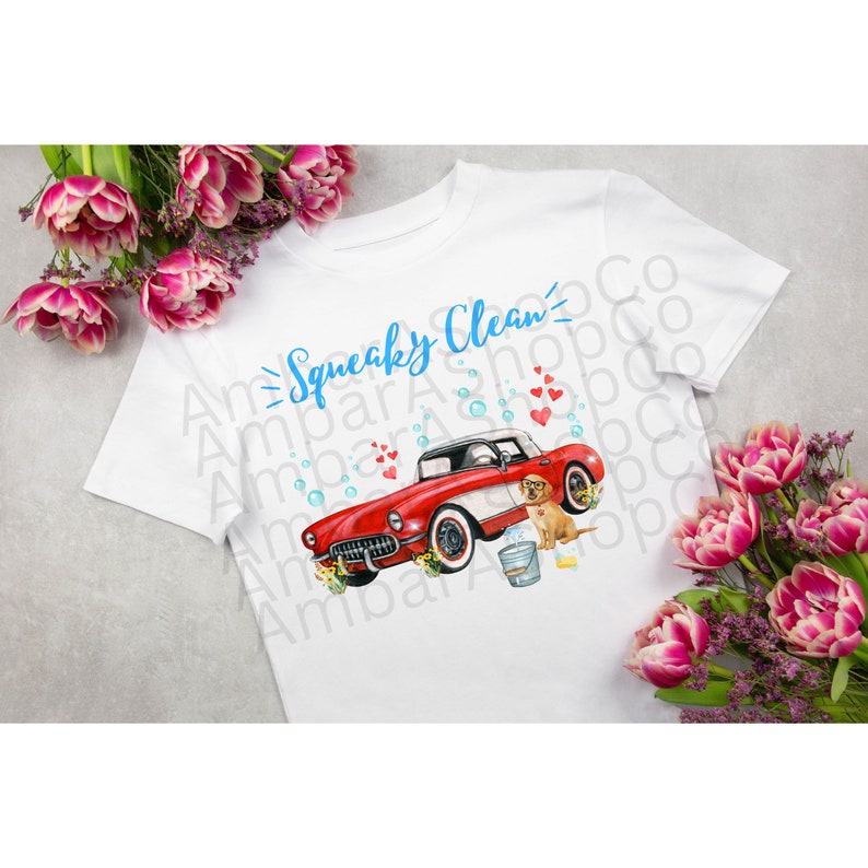 Car Wash Png Squeaky Clean Png Car Wash SVG Car Washing Png Clean Png ...