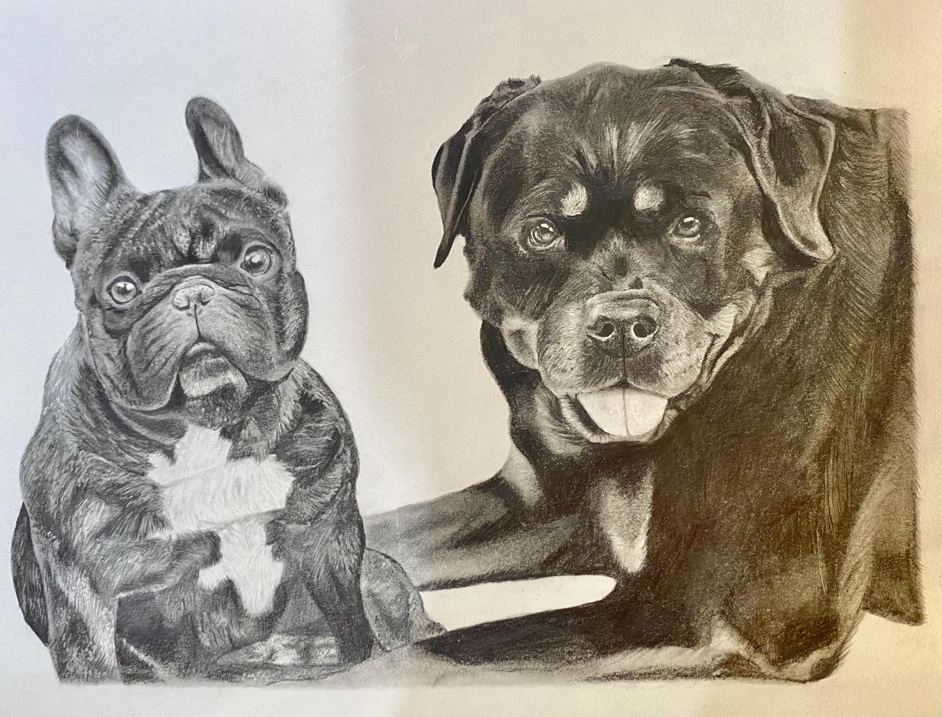 Custom Pet Portrait, Pet Memorial Drawings, Drawing From Photo, Animal ...