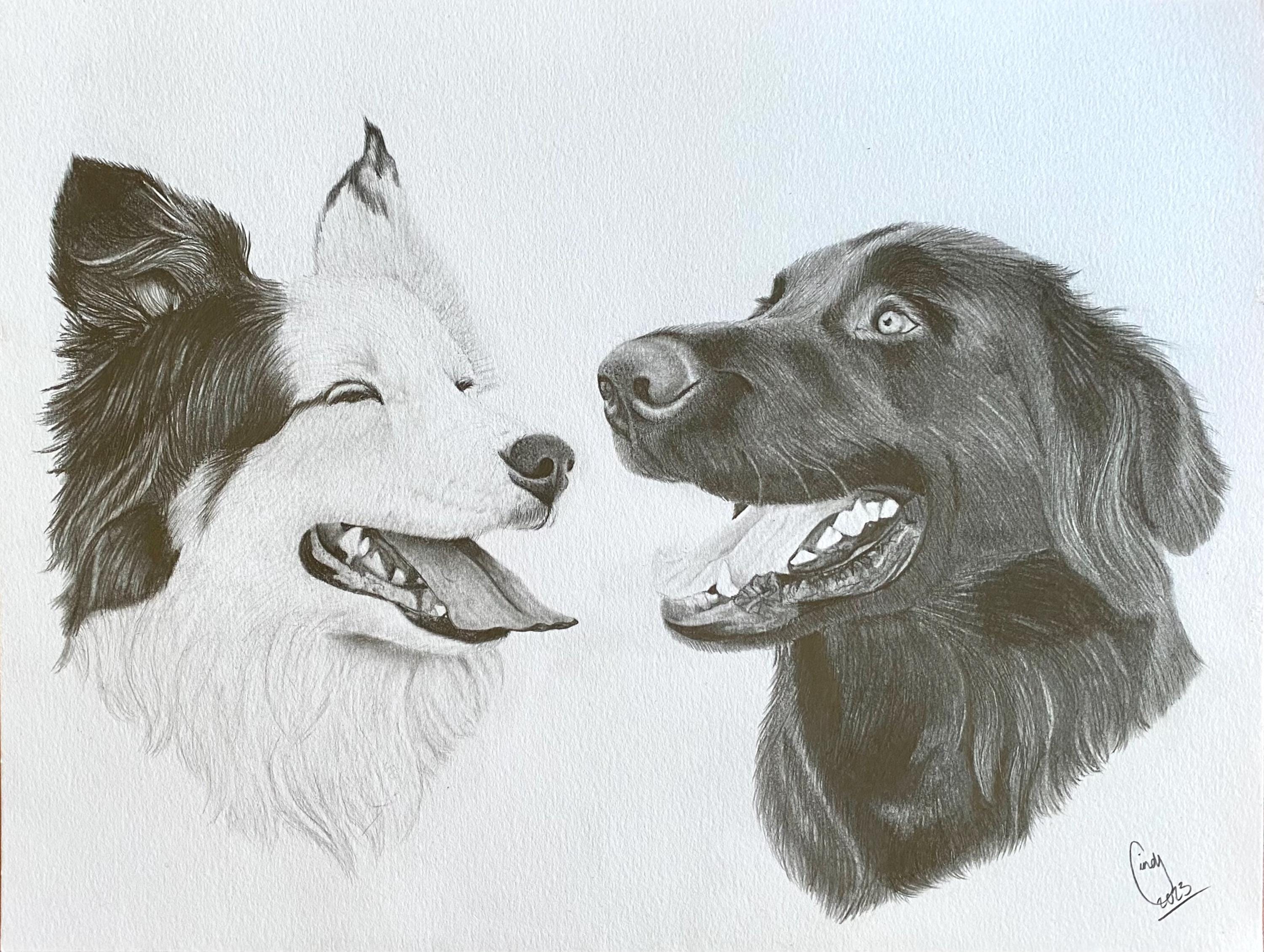 Custom Pet Portrait, Pet Memorial Drawings, Drawing From Photo, Animal ...