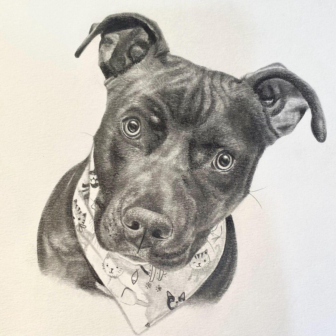 Custom Pet Portrait, Pet Memorial Drawings, Drawing From Photo, Animal ...