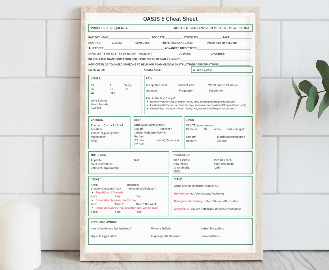 OASIS E Cheat Sheet With High Risk Medications and Written BIMS ...