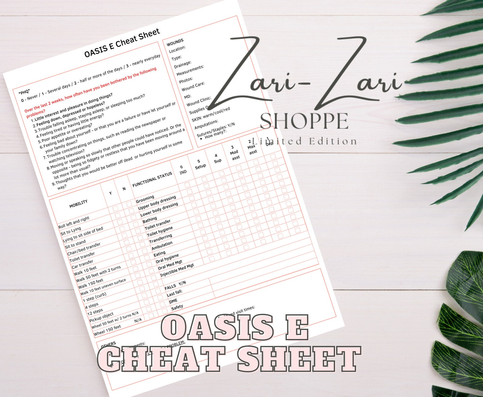 New OASIS E Cheat Sheet With High Risk Medications and Written BIMS ...