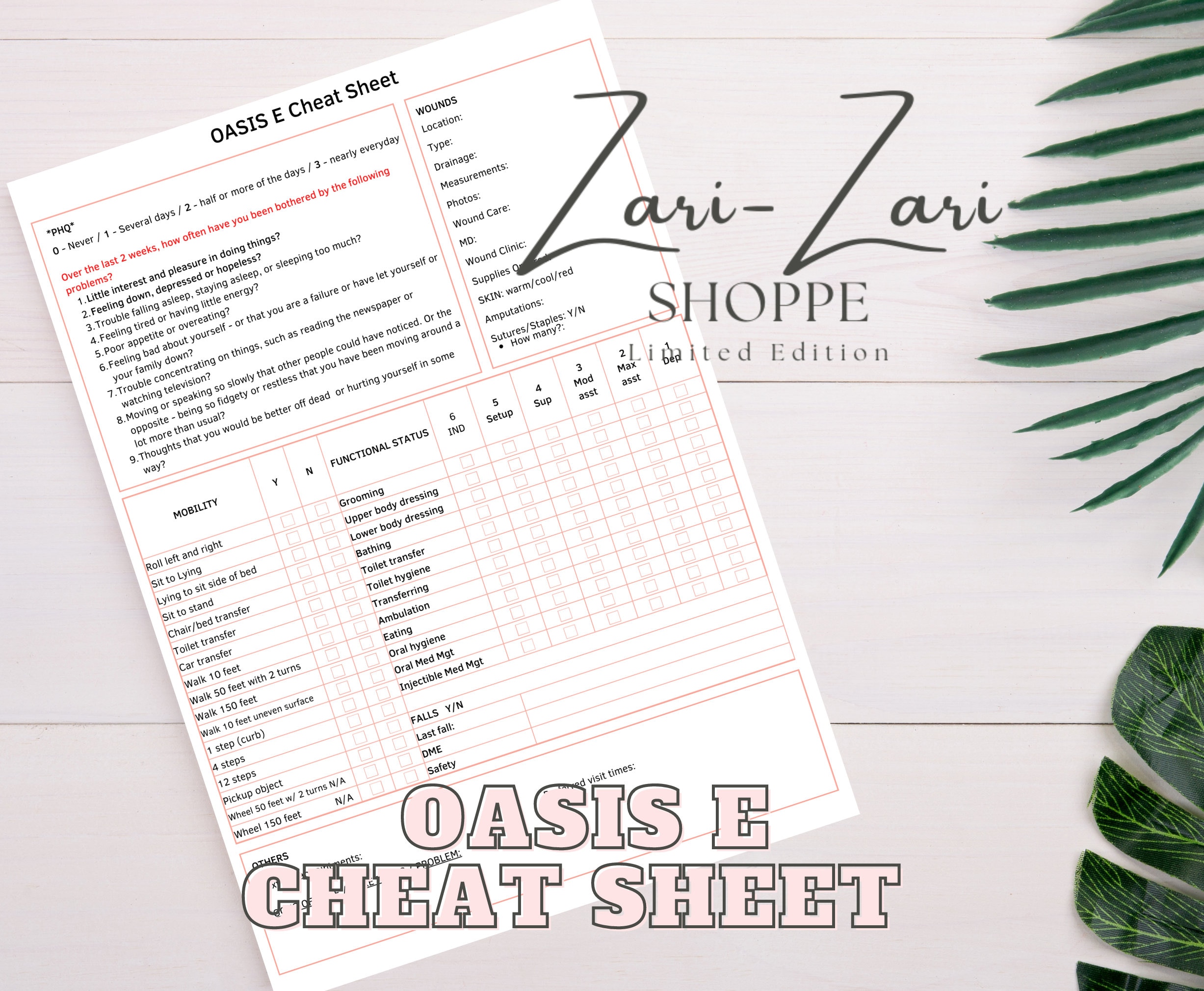 New OASIS E Cheat Sheet With High Risk Medications and Written BIMS ...