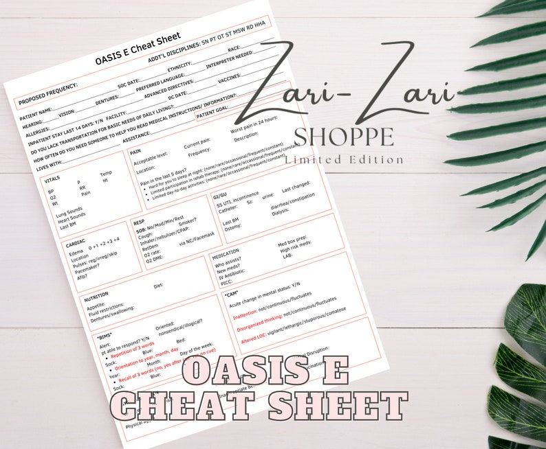 New OASIS E Cheat Sheet With High Risk Medications and Written BIMS ...