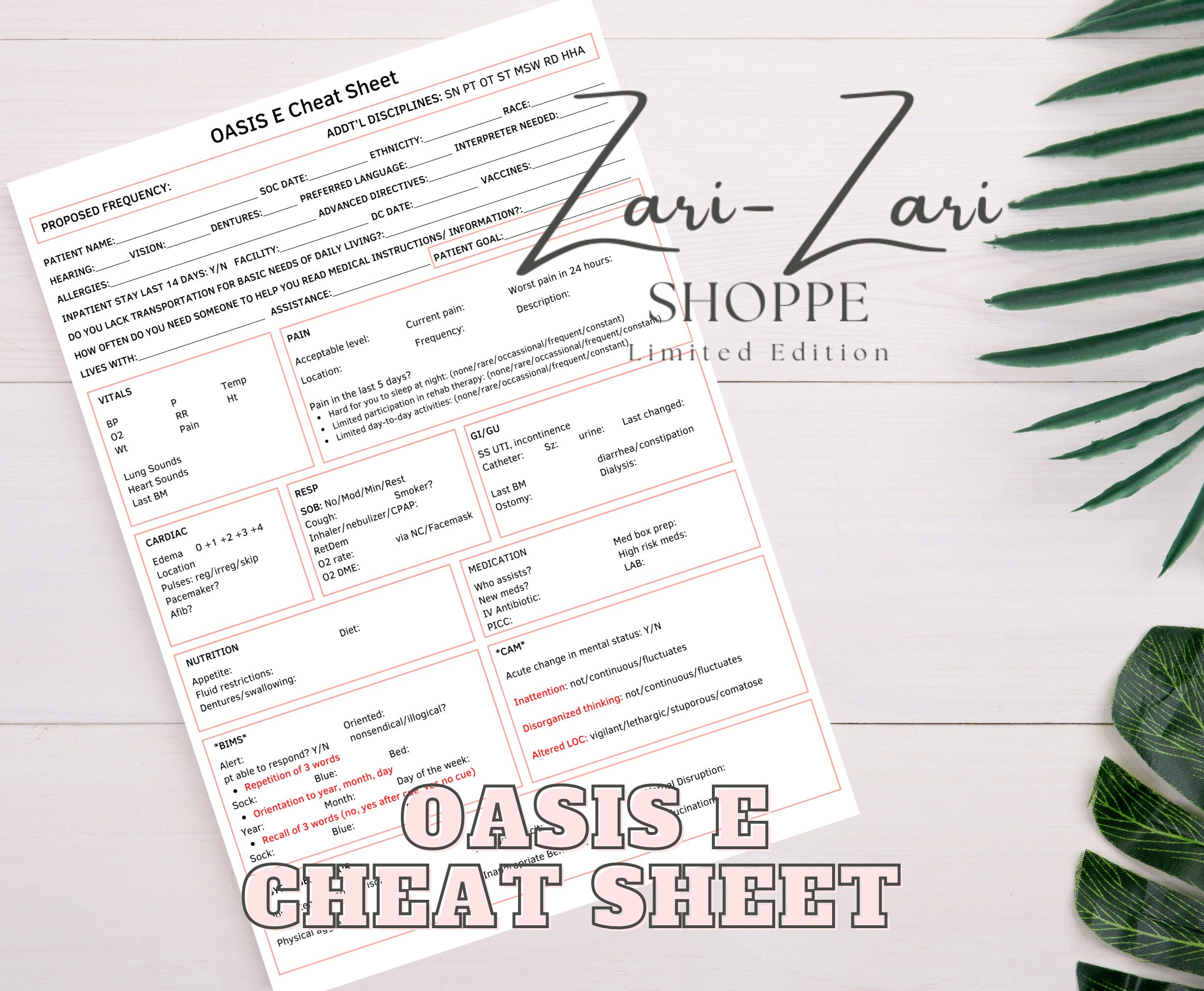 New OASIS E Cheat Sheet With High Risk Medications and Written BIMS ...