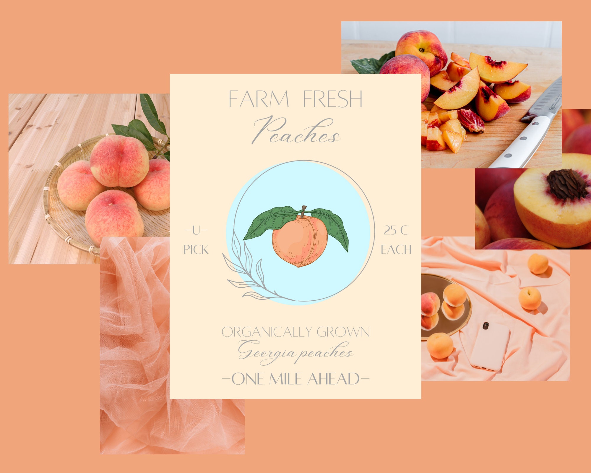 Farm Fresh Peaches Printable - Etsy