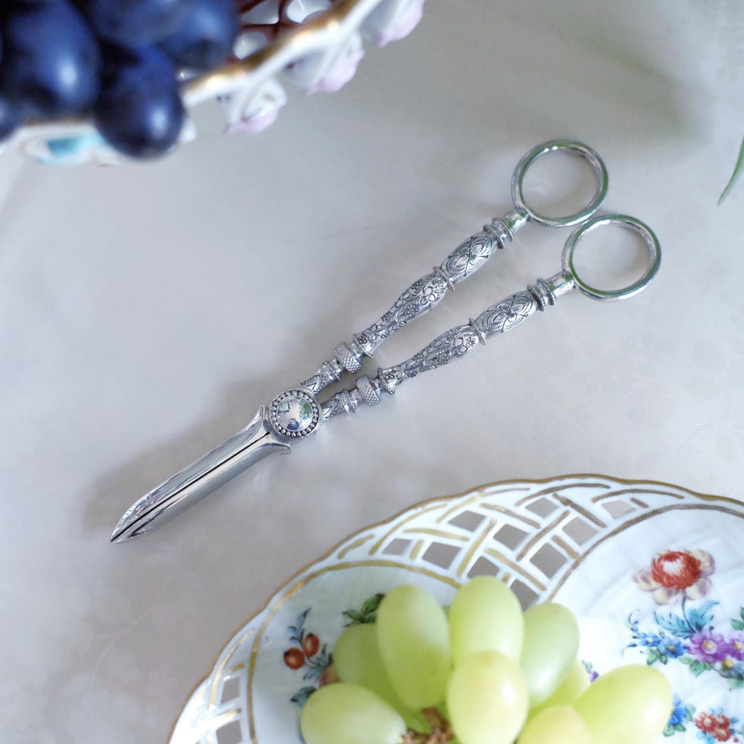 Pair of Antique Unmarked Silver Plated Grape Scissors With Segmented ...