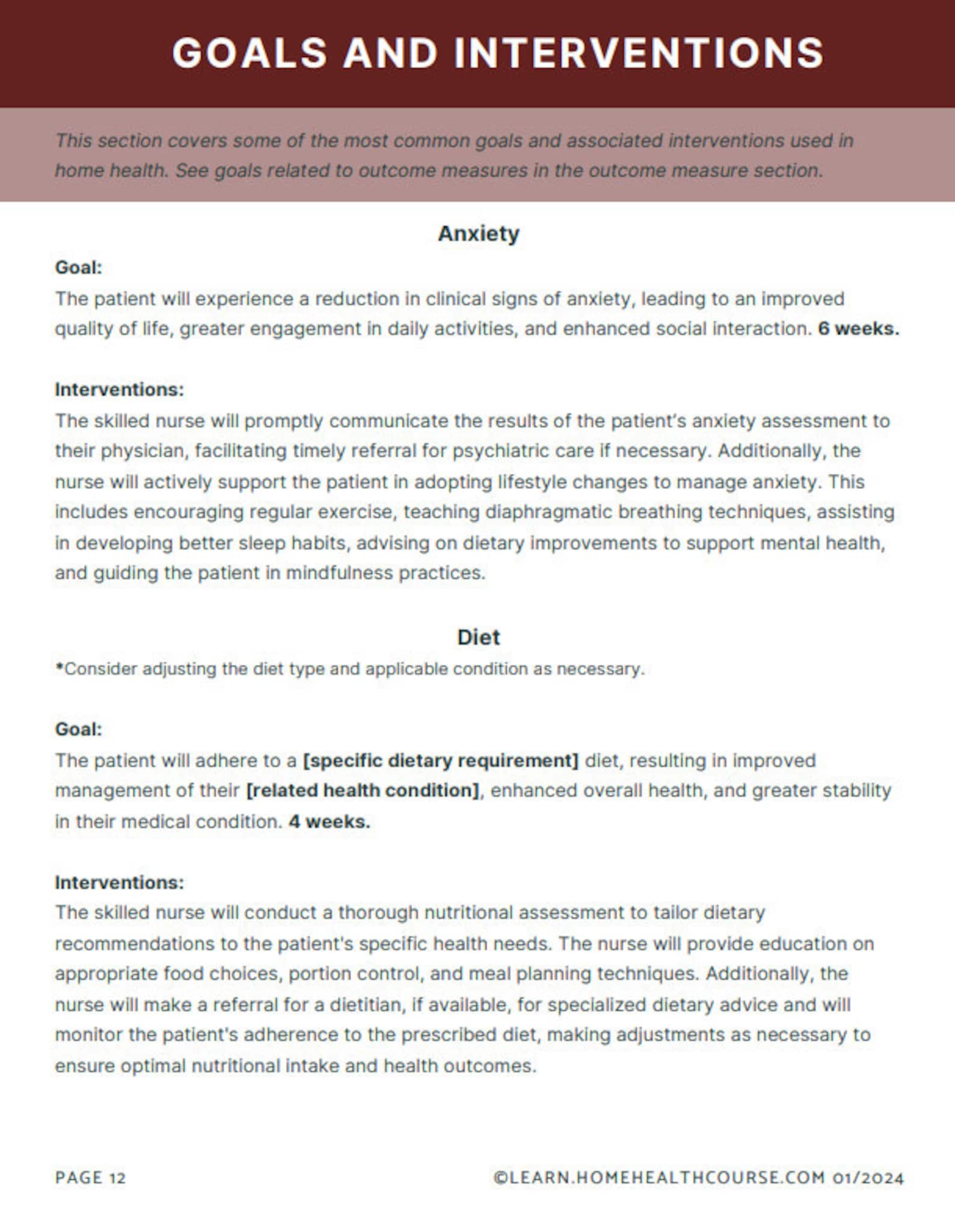 Home Health Documentation Templates for Nurses - Etsy