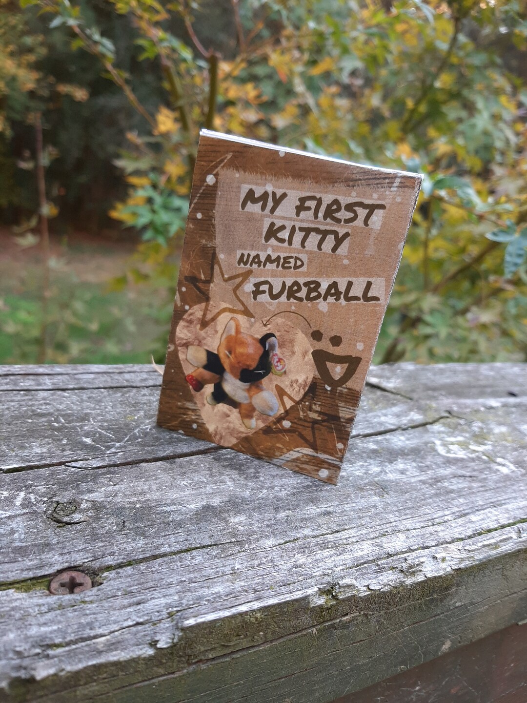 My First Kitty Named Furball - a Mini Zine | Zine, Zines, Mini Zine ...