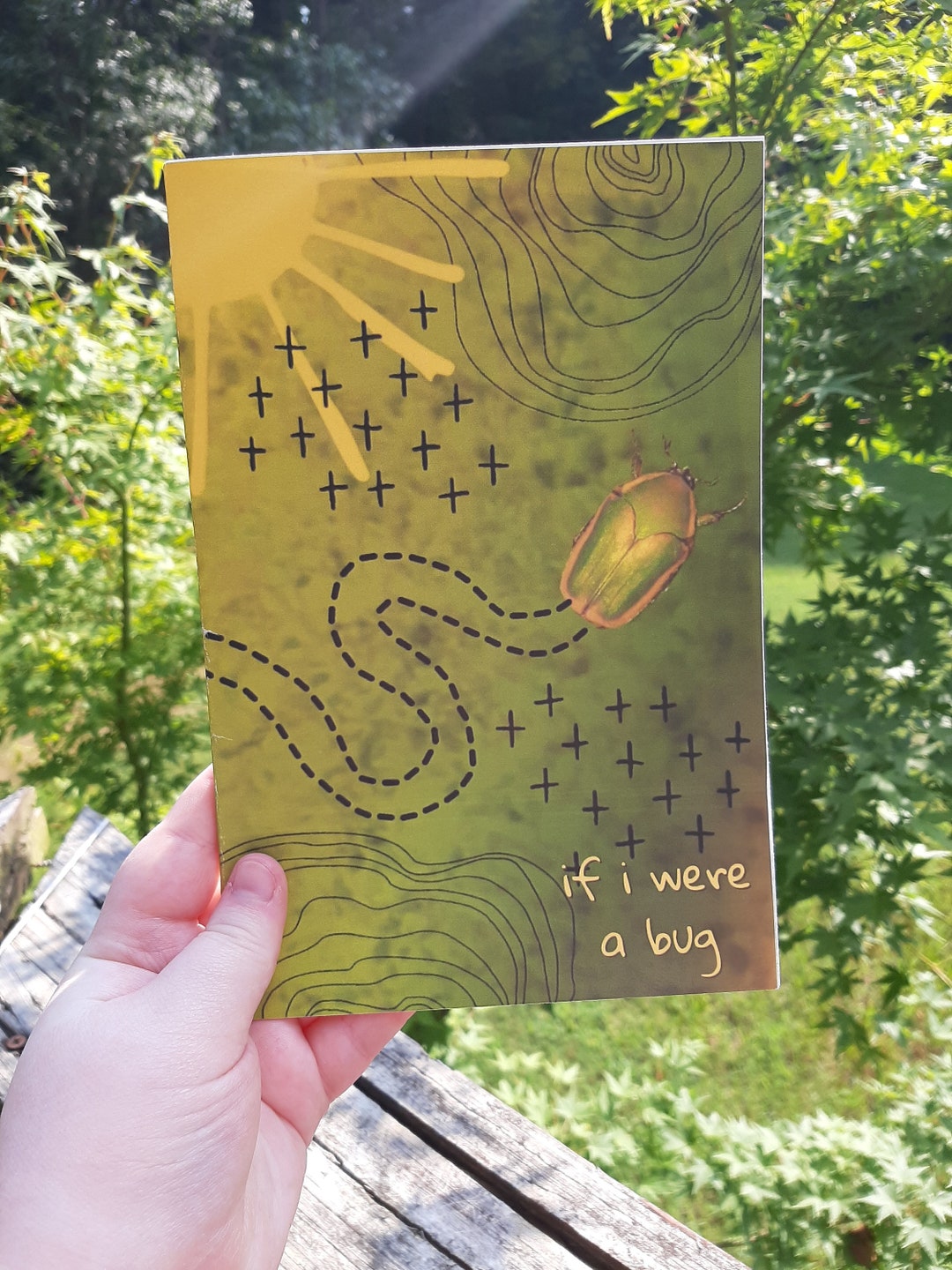 If I Were a Bug - a Zine | Zine, Zines, Mini Zine, Mini Zines, Poetry ...